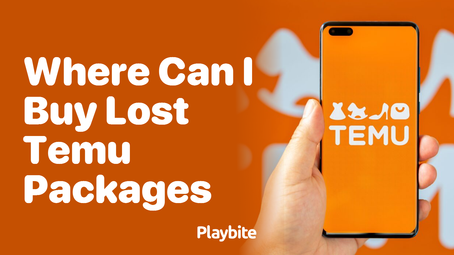 Where Can I Buy Lost Temu Packages? - Playbite