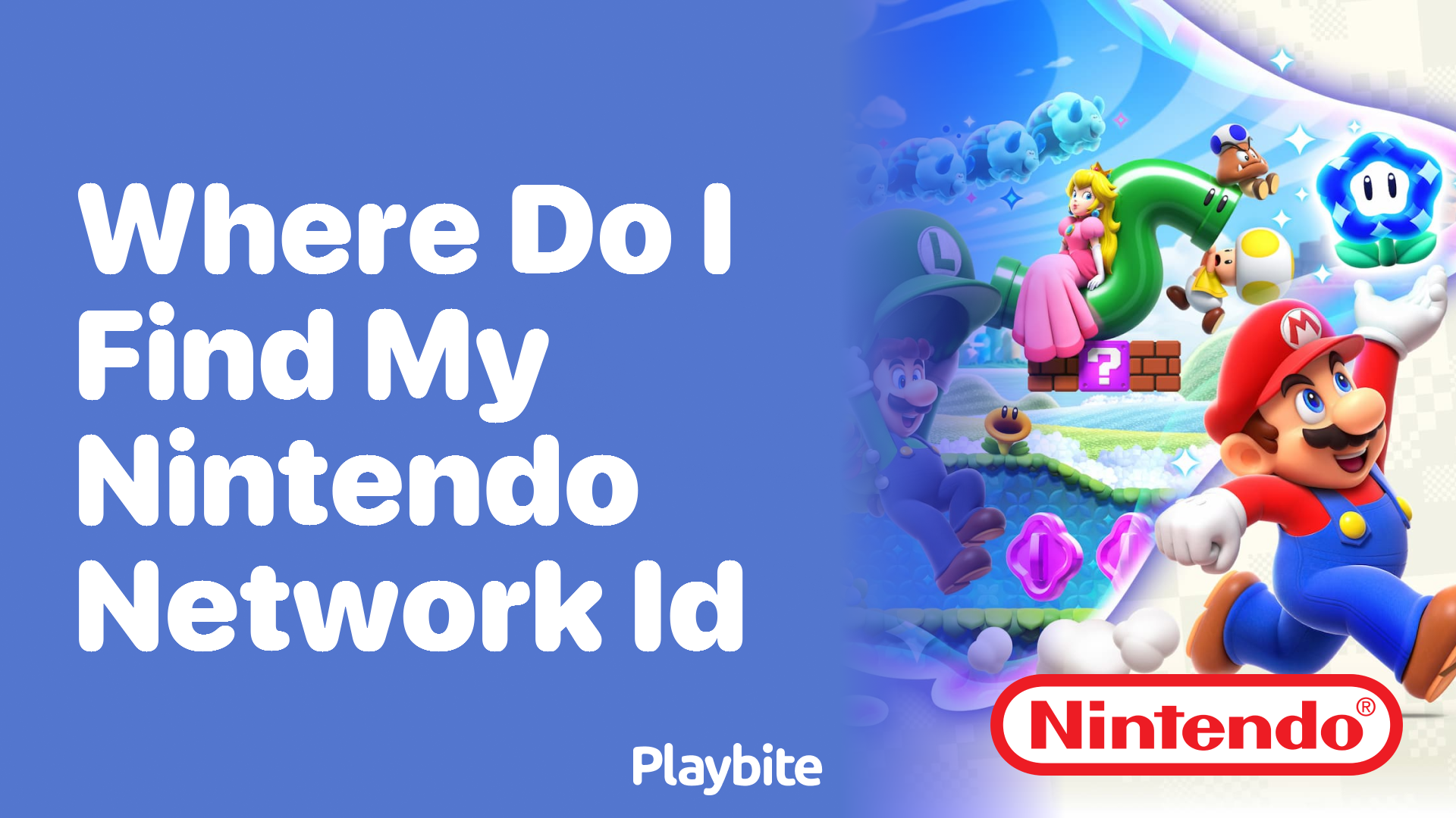 Where Do I Find My Nintendo Network ID? Exploring the Basics! - Playbite