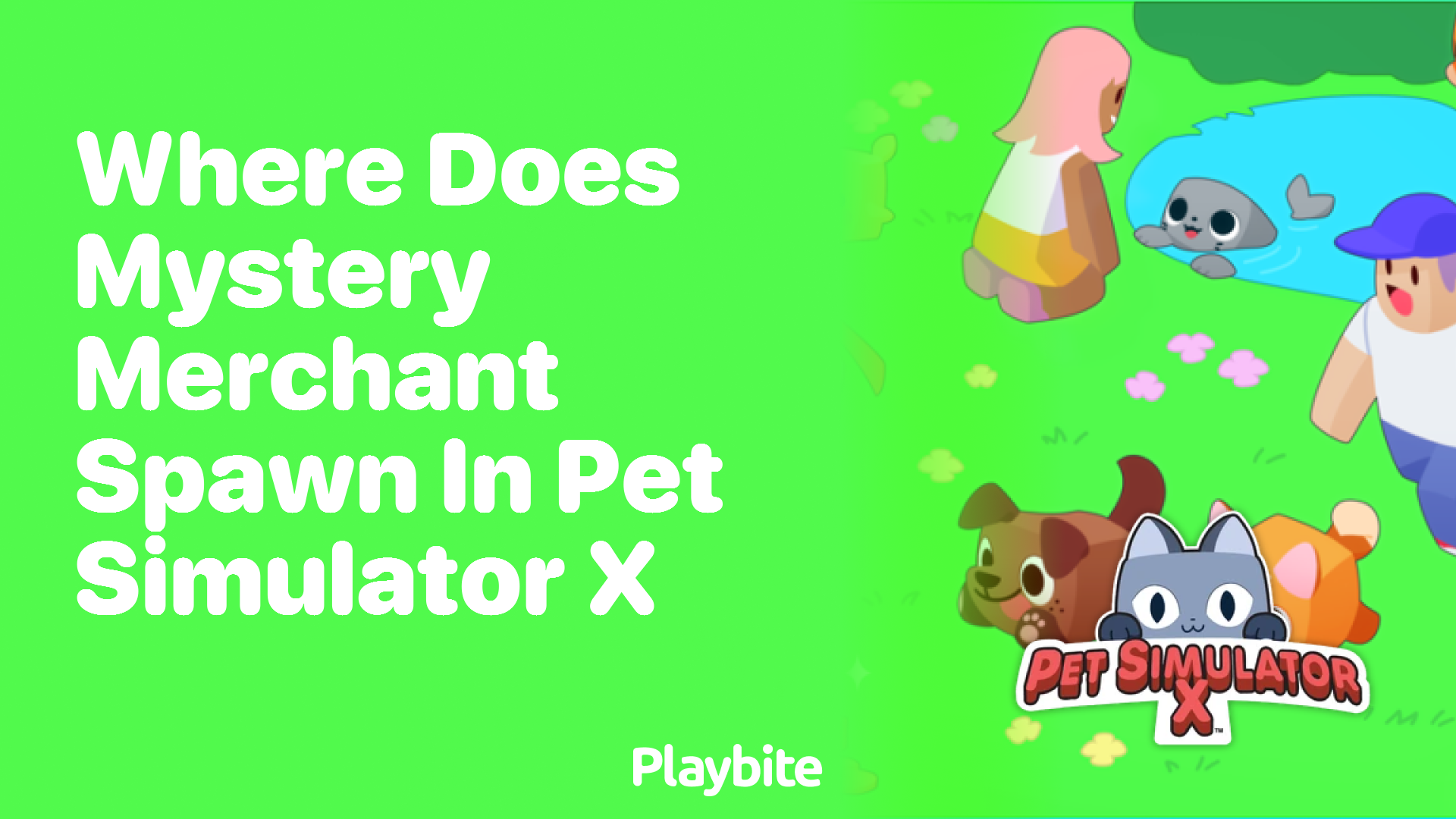 Where does the Mystery Merchant Spawn in Pet Simulator X? - Playbite