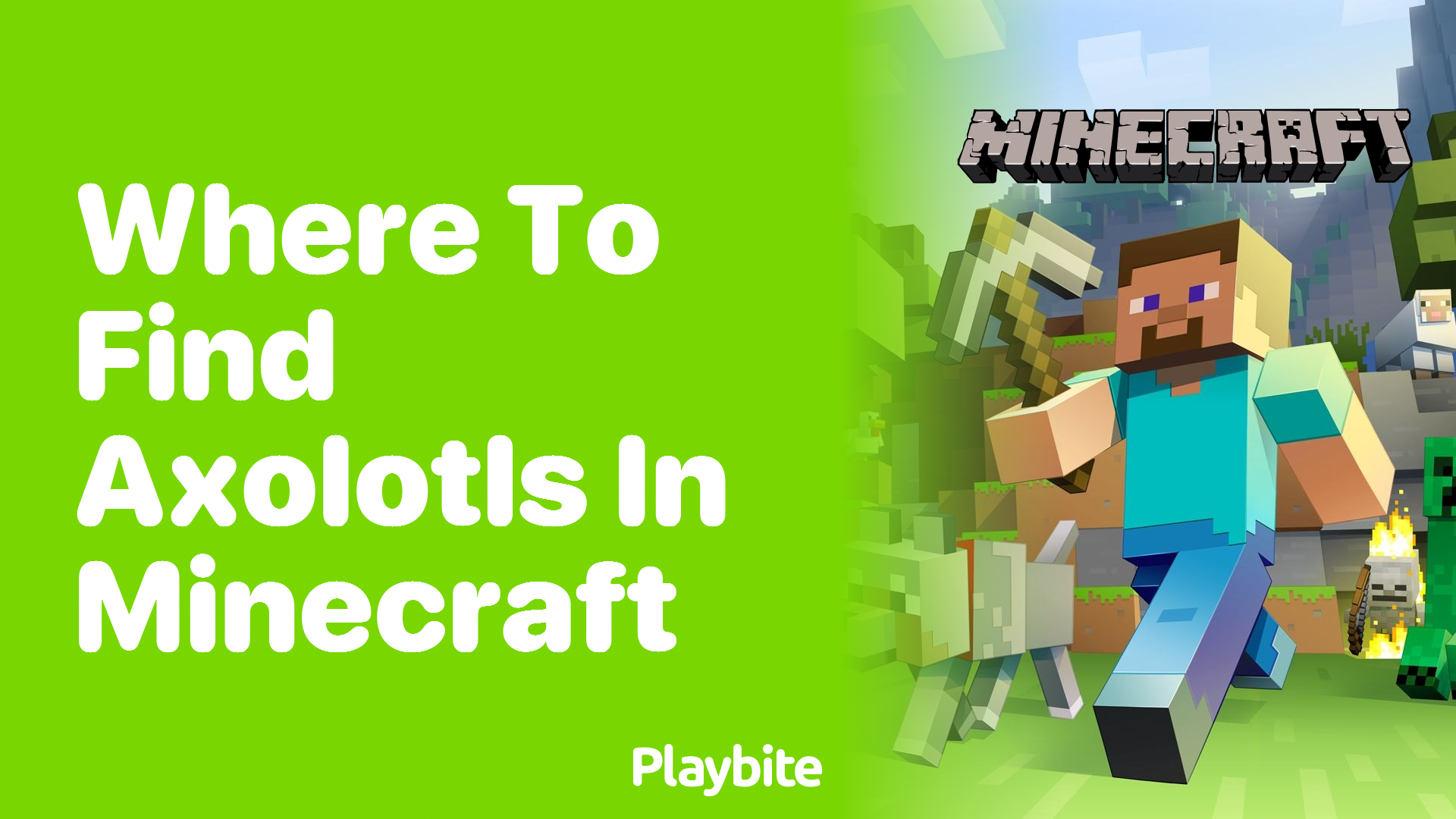 Where to Find Axolotls in Minecraft: Your Ultimate Guide - Playbite