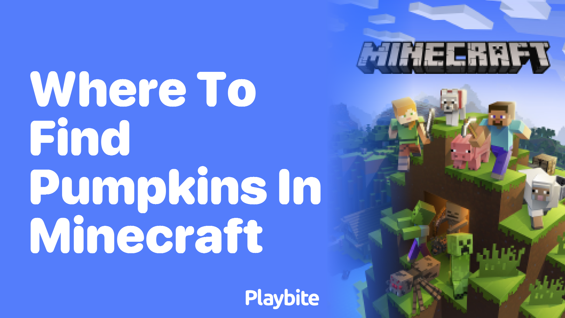 Where to Find Pumpkins in Minecraft - Playbite