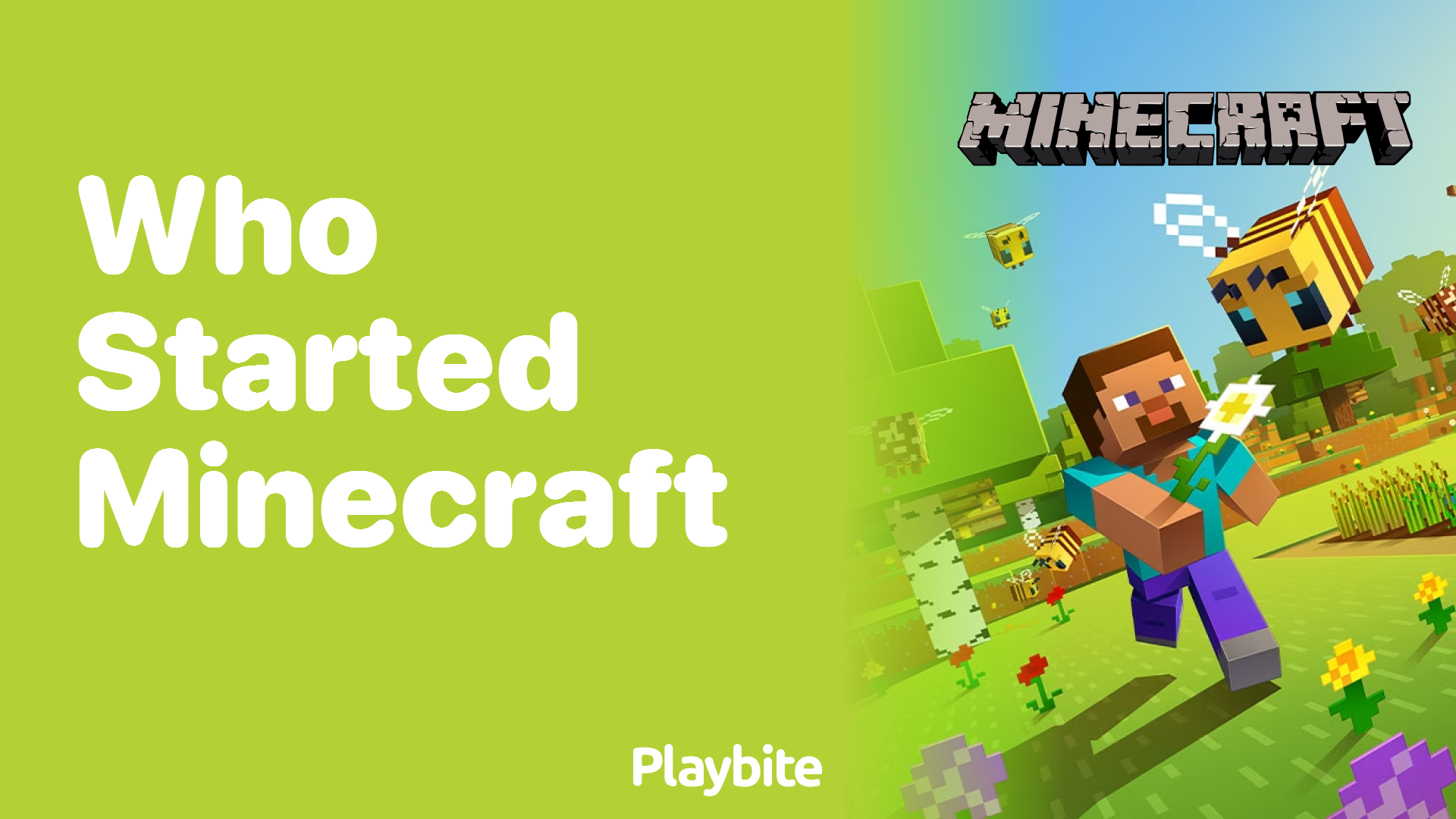 Who Started Minecraft? Unveiling the Genius Behind the Blocky World ...
