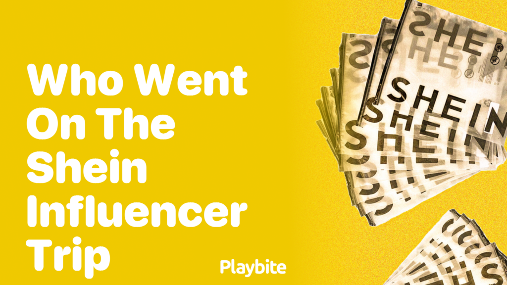 Who Went on the SHEIN Influencer Trip? Unraveling the Mystery - Playbite