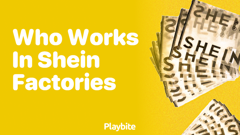 Who Works in SHEIN Factories? Understanding SHEIN's Workforce - Playbite