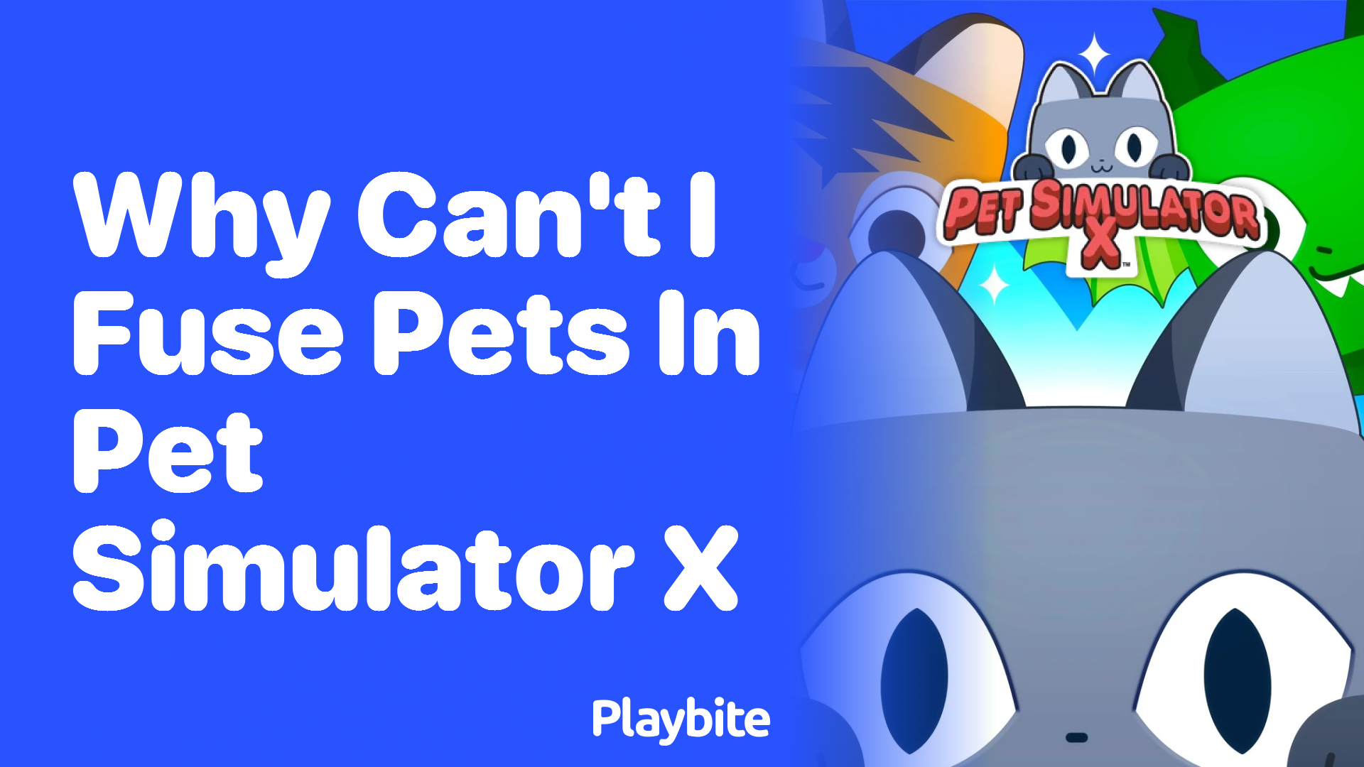 Why Can't I Fuse Pets in Pet Simulator X? - Playbite