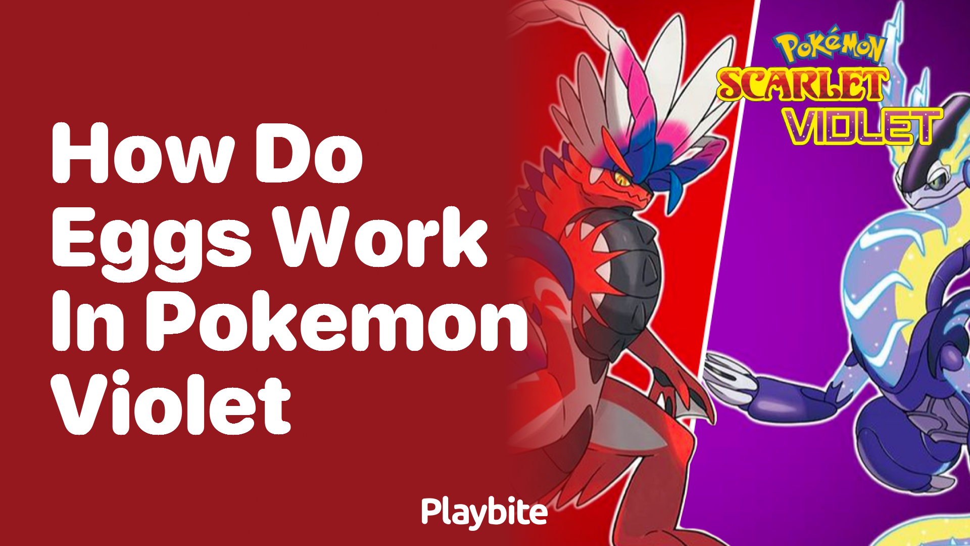 How do Eggs work in Pokemon Violet? - Playbite