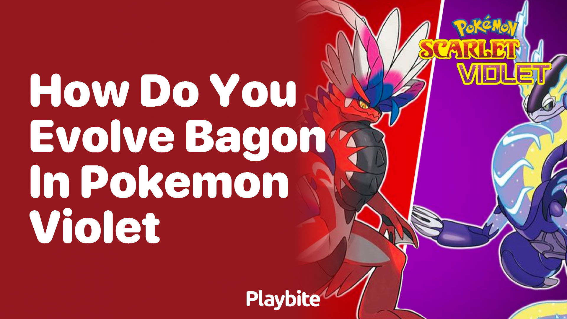 How do you evolve Bagon in Pokemon Violet? - Playbite
