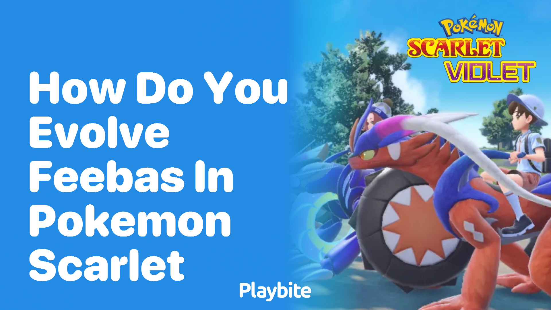 How do you evolve Feebas in Pokemon Scarlet? - Playbite
