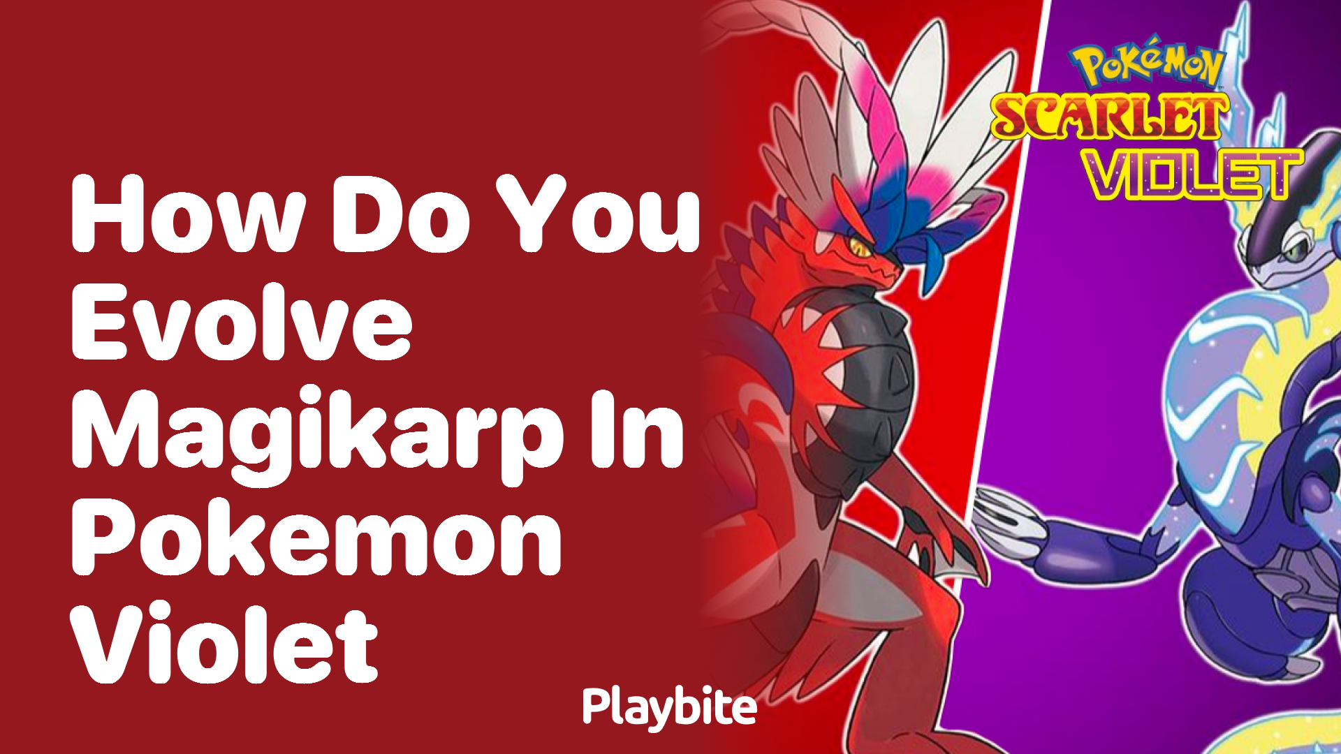 How do you evolve Magikarp in Pokemon Violet? - Playbite