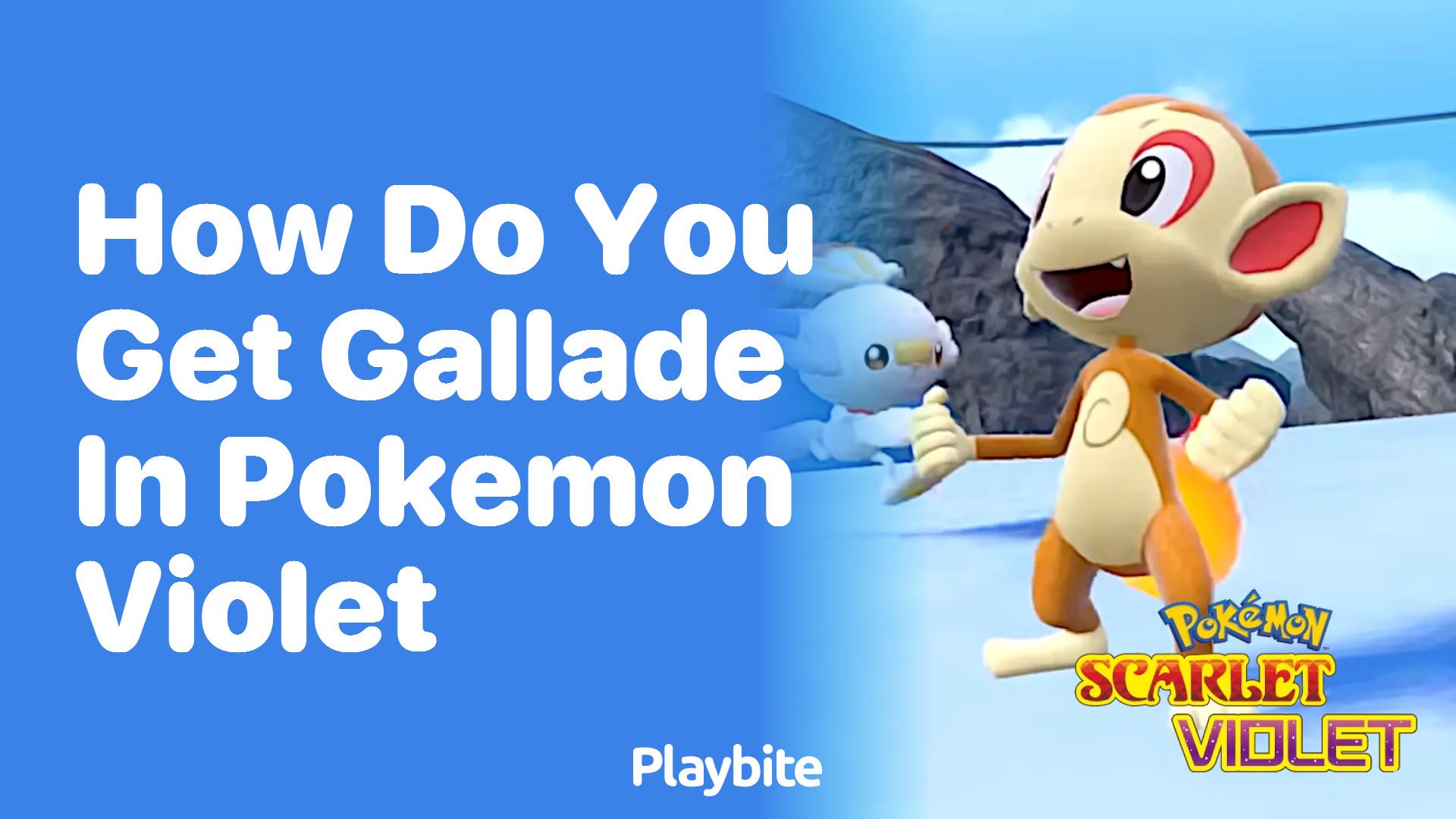 How do you get Gallade in Pokemon Violet? - Playbite
