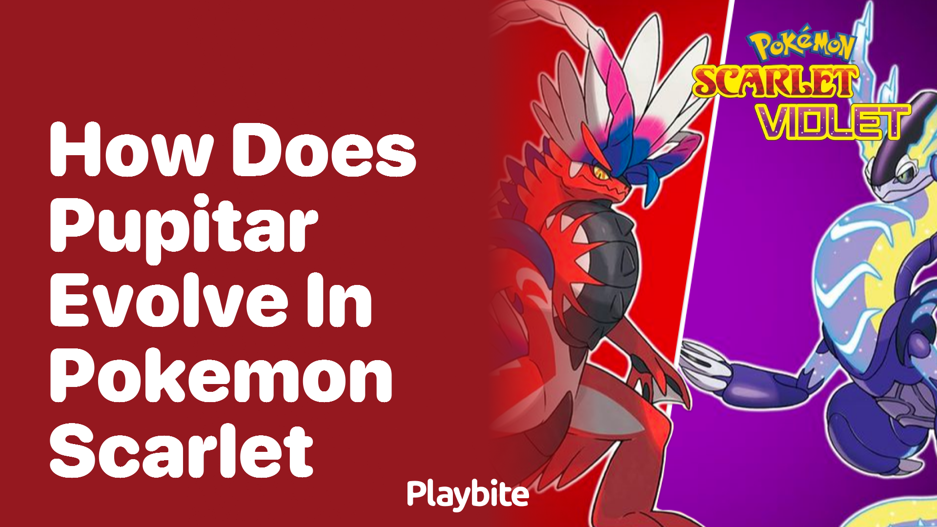 How does Pupitar evolve in Pokemon Scarlet? - Playbite