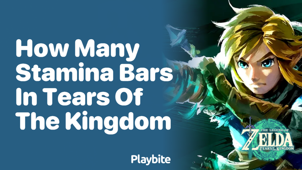 How Many Stamina Bars Are in Tears of the Kingdom? - Playbite