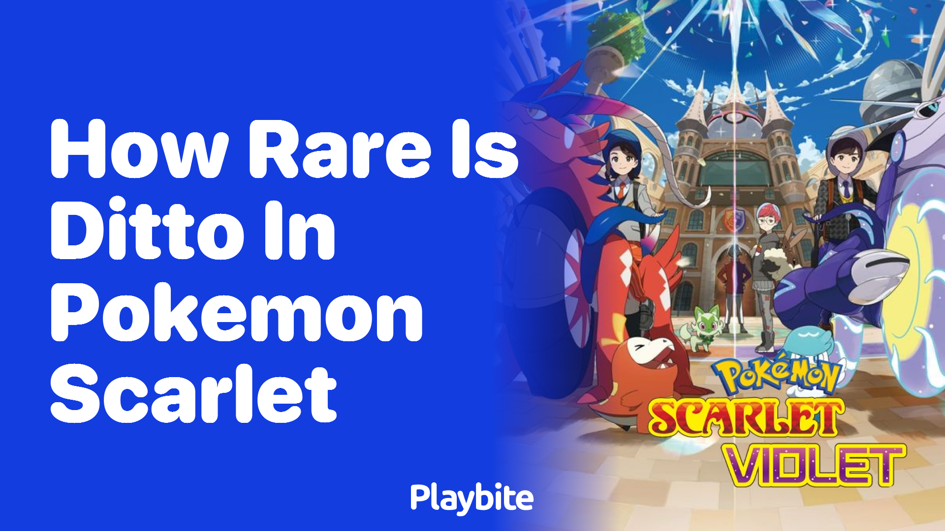 How Rare is Ditto in Pokemon Scarlet? - Playbite