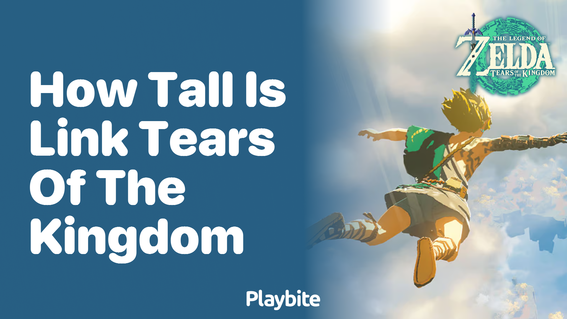 How Tall is Link in Tears of the Kingdom? - Playbite