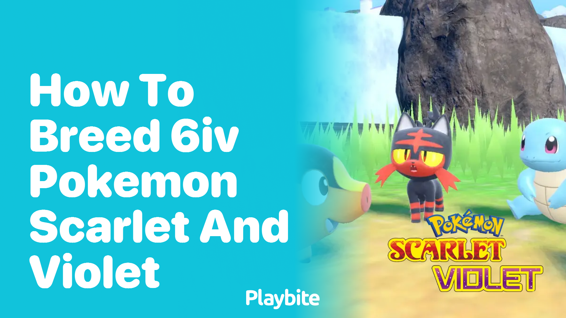 How to Breed 6IV Pokemon in Scarlet and Violet - Playbite