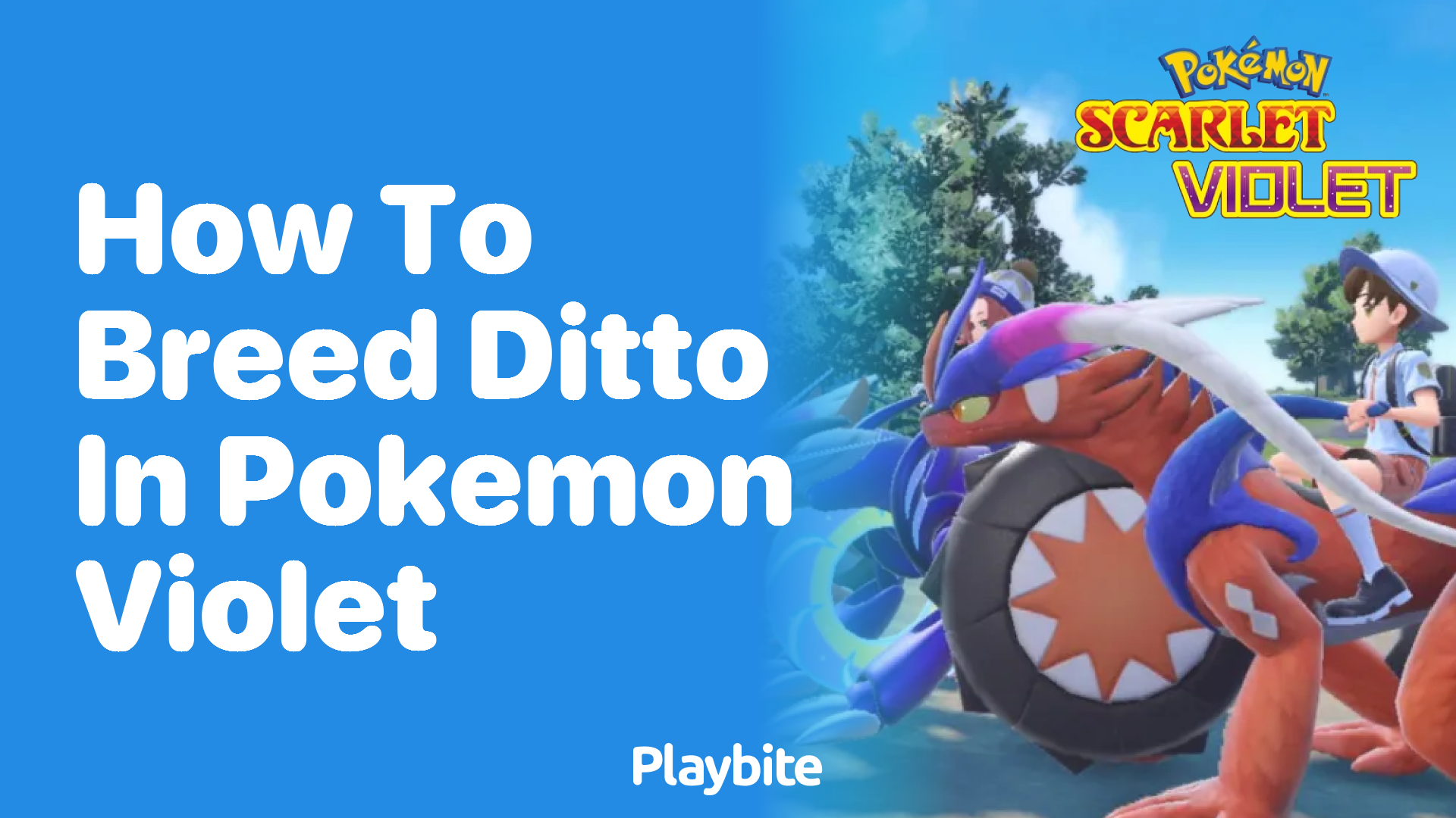 How to breed Ditto in Pokemon Violet - Playbite