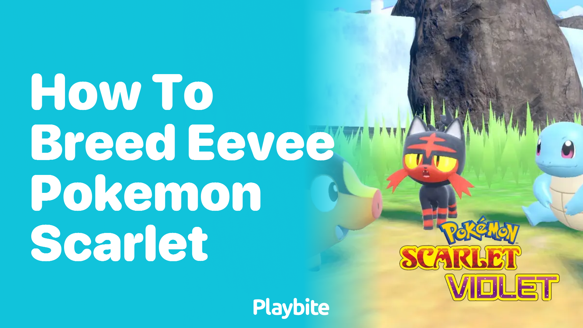 How to Breed Eevee in Pokemon Scarlet - Playbite