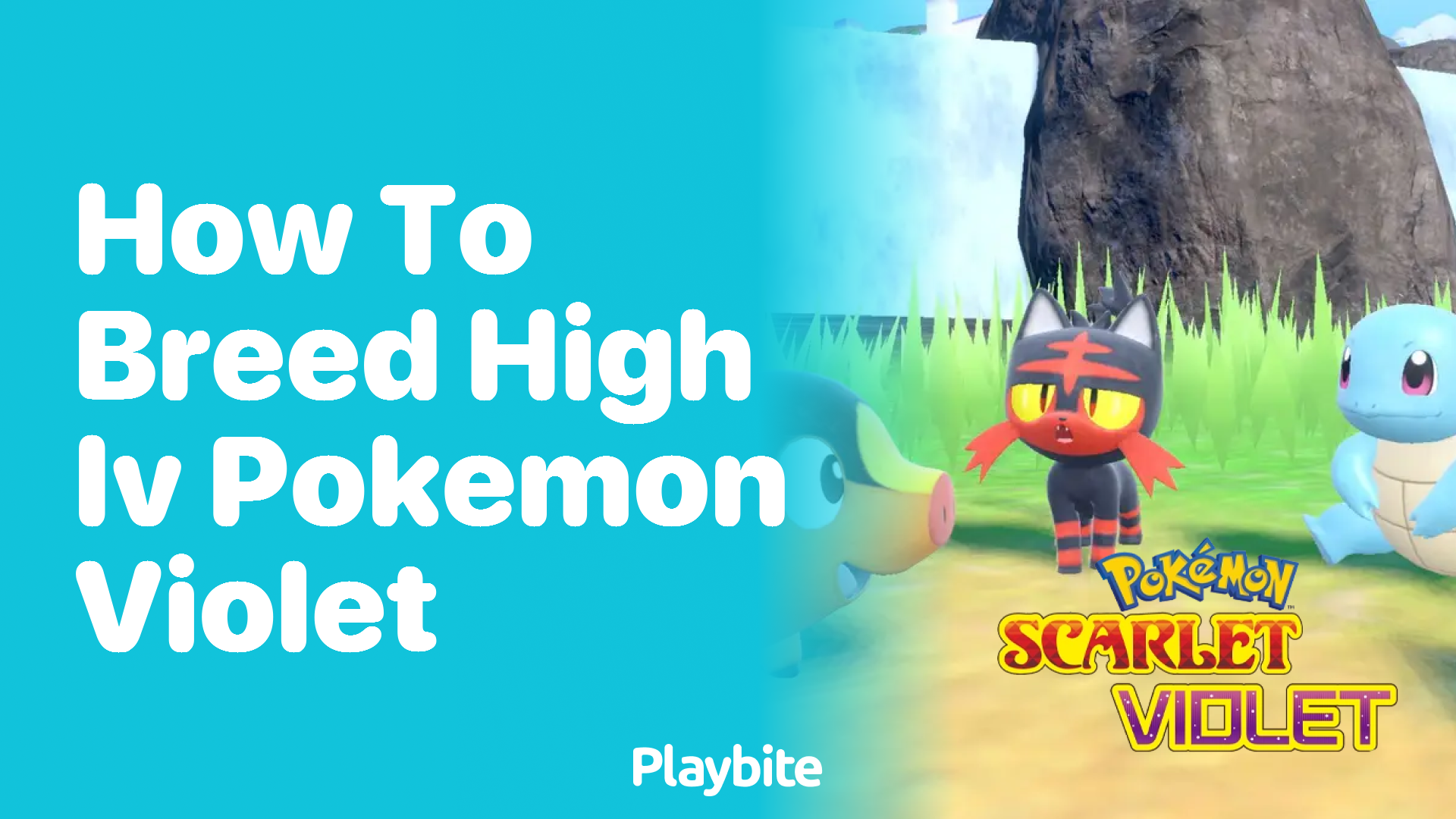 How to breed high IV Pokémon in Pokémon Violet - Playbite
