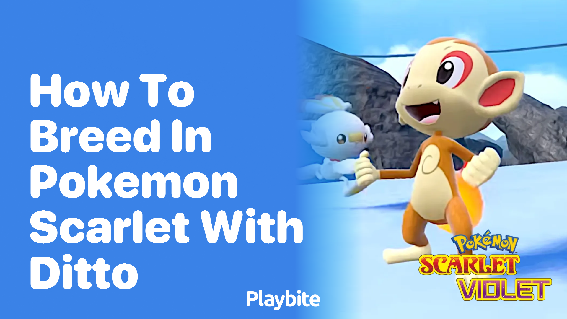 How to Breed in Pokemon Scarlet with Ditto - Playbite