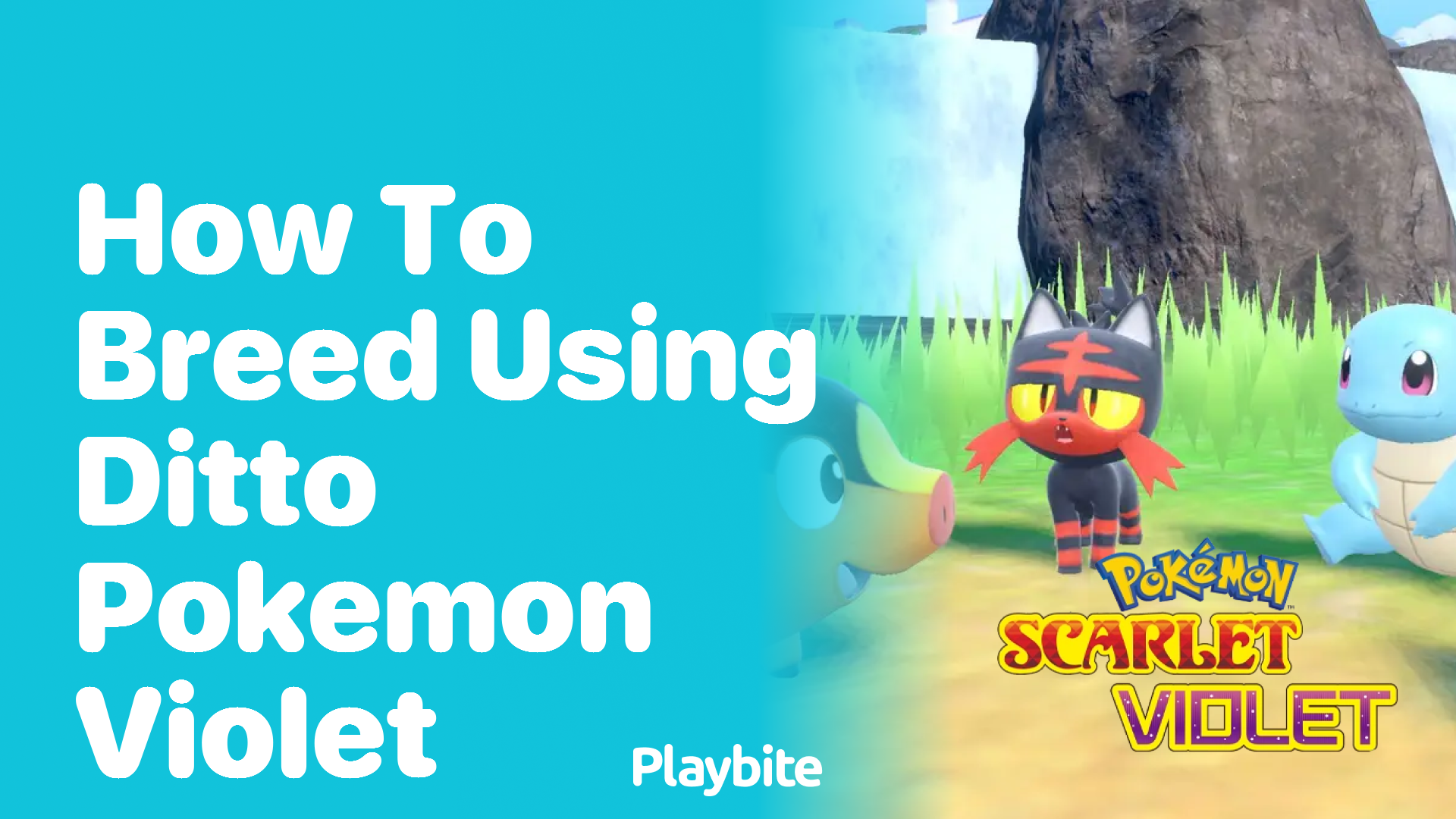 How to Breed Using Ditto in Pokemon Violet - Playbite