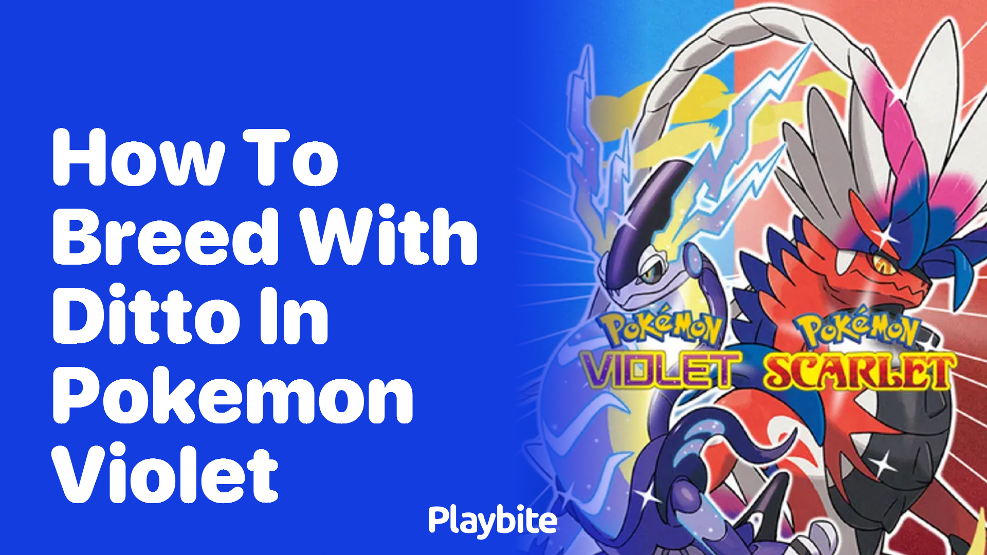 How to breed with Ditto in Pokémon Violet - Playbite