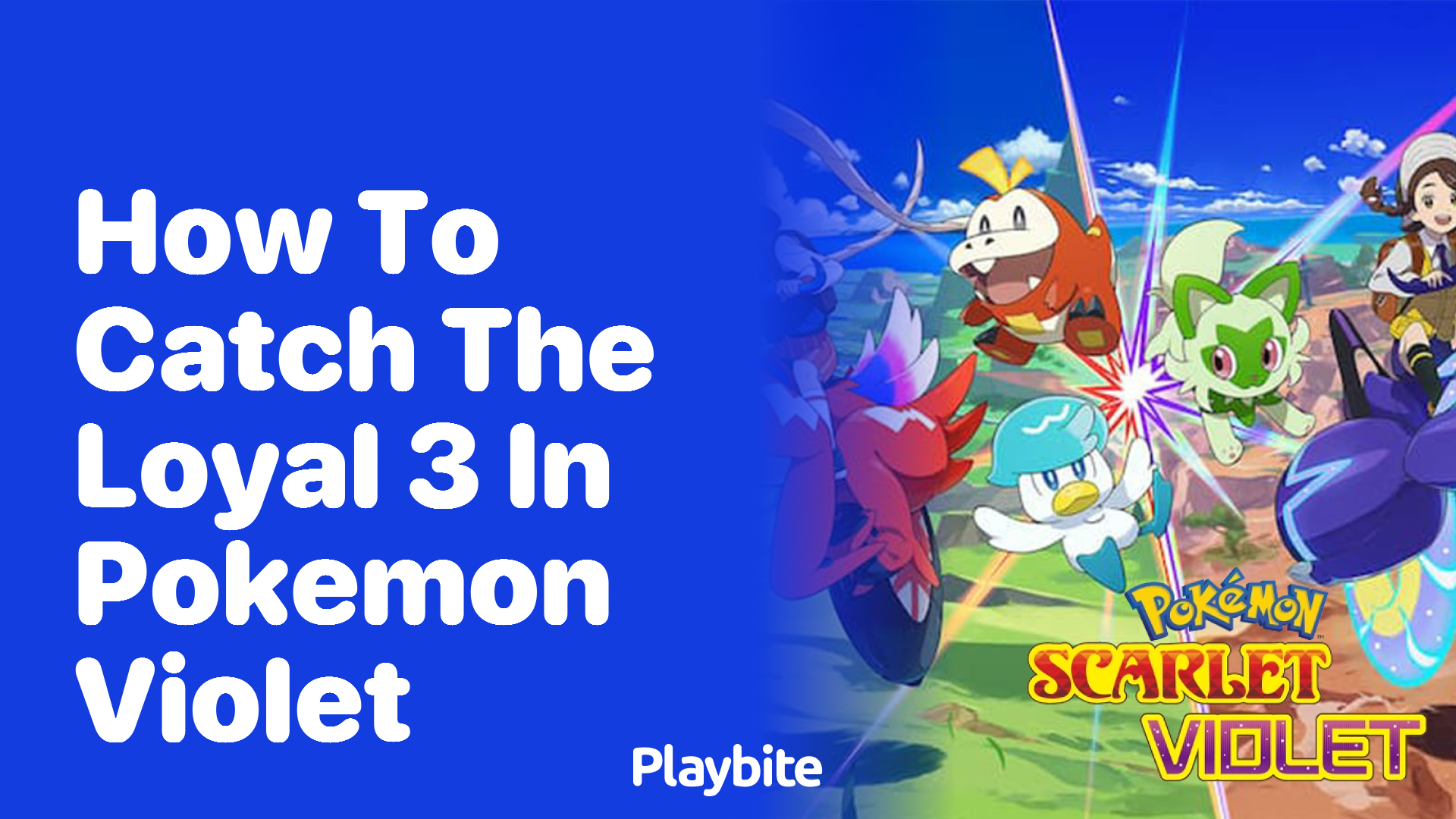 How to catch the Loyal 3 in Pokemon Violet - Playbite