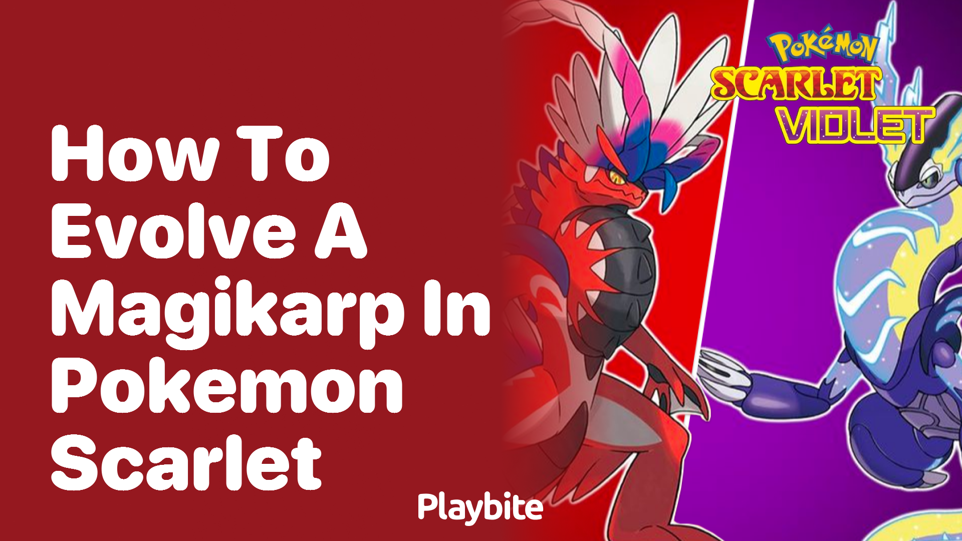 How to evolve a Magikarp in Pokemon Scarlet - Playbite
