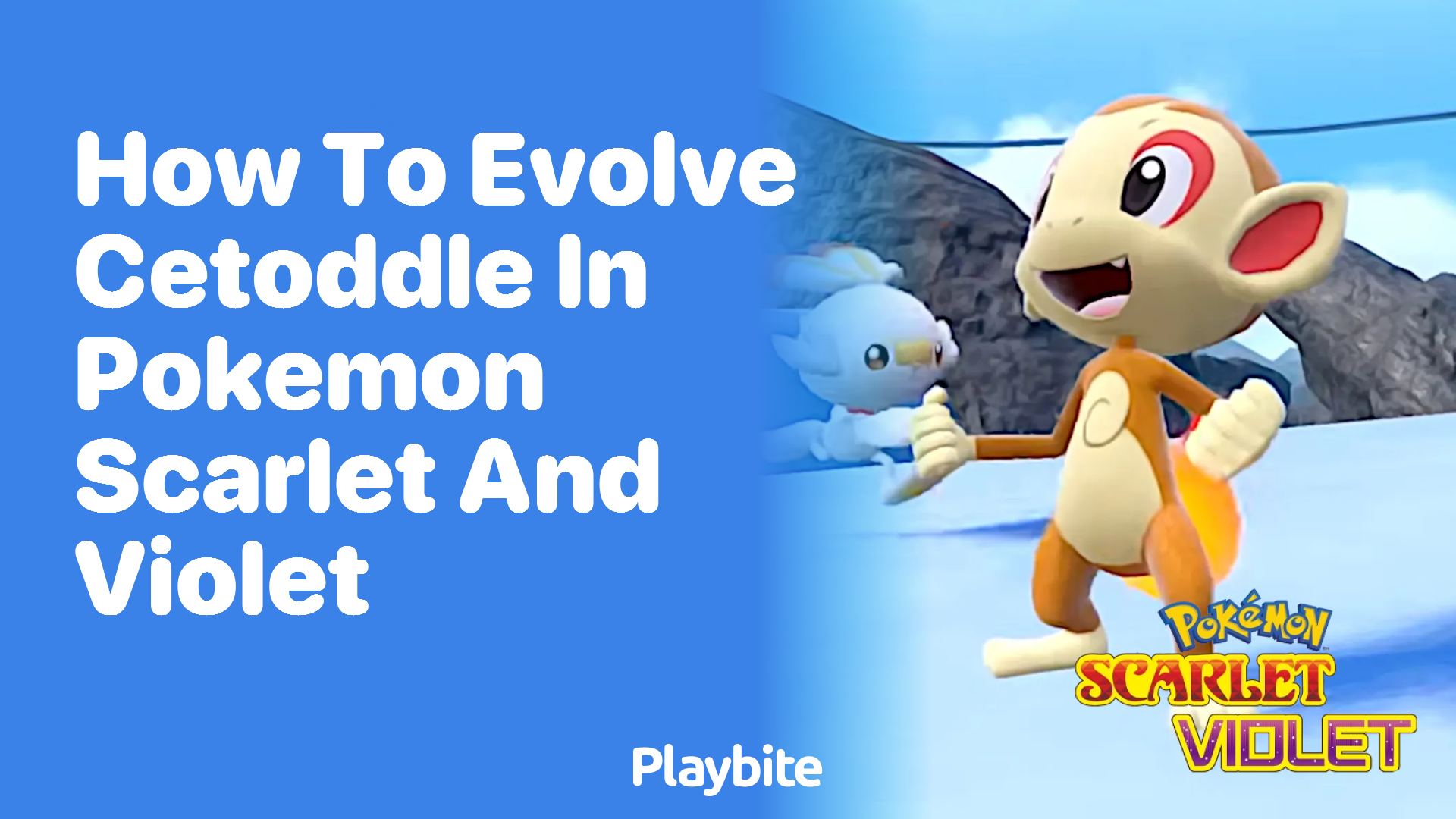 How to evolve Cetoddle in Pokémon Scarlet and Violet - Playbite