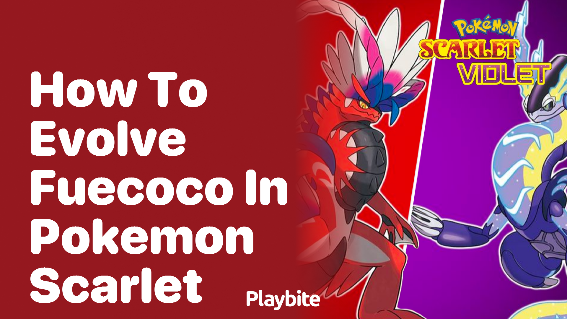 How to evolve Fuecoco in Pokemon Scarlet - Playbite