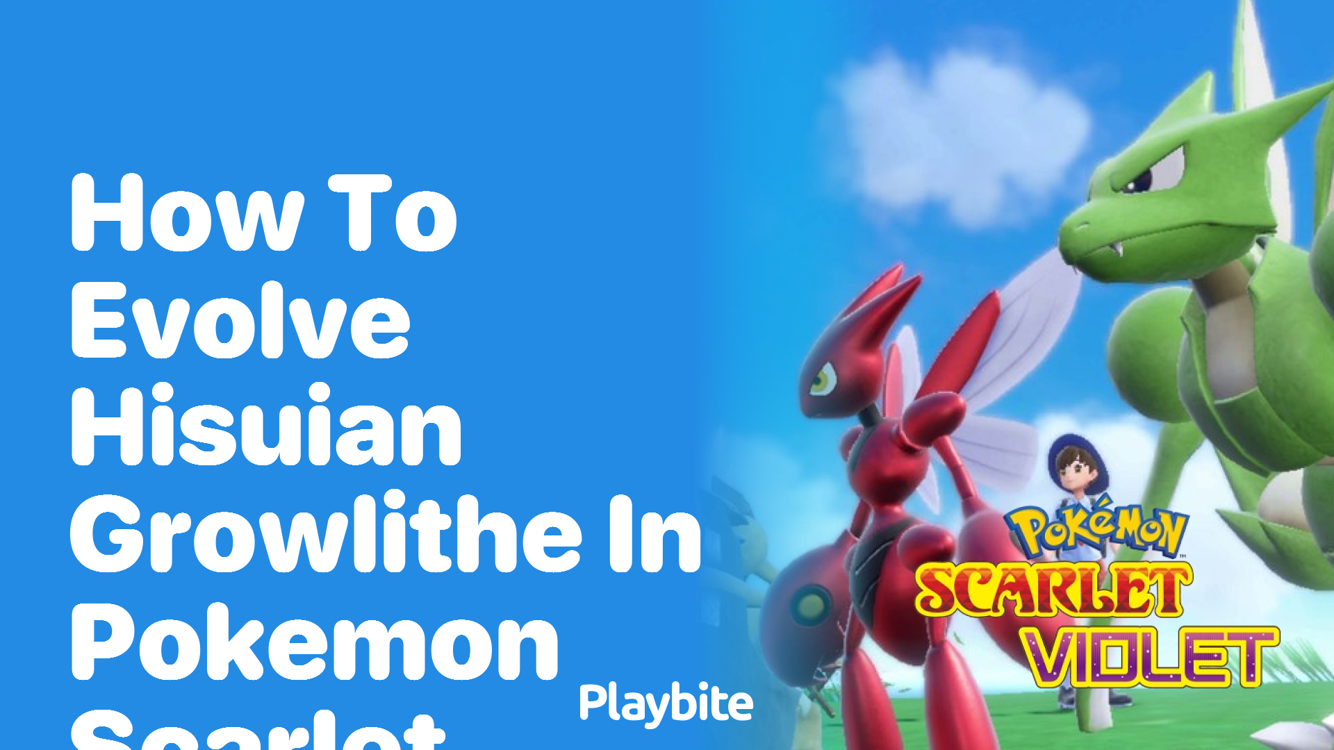 How to evolve Hisuian Growlithe in Pokemon Scarlet - Playbite