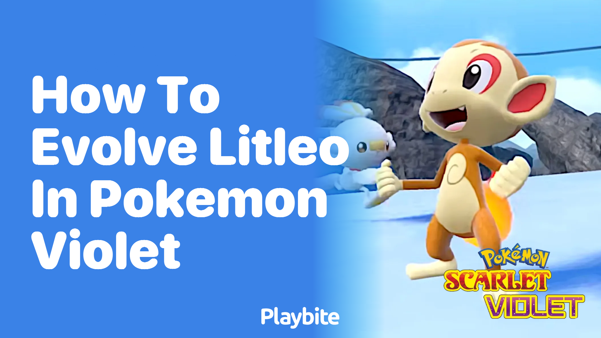 How to evolve Litleo in Pokemon Violet - Playbite