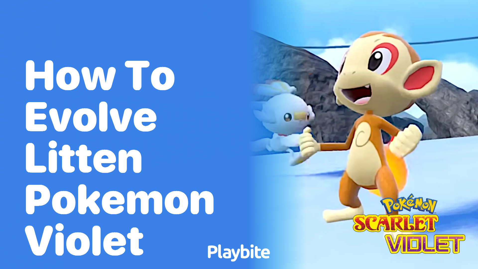 How to evolve Litten in Pokemon Violet - Playbite