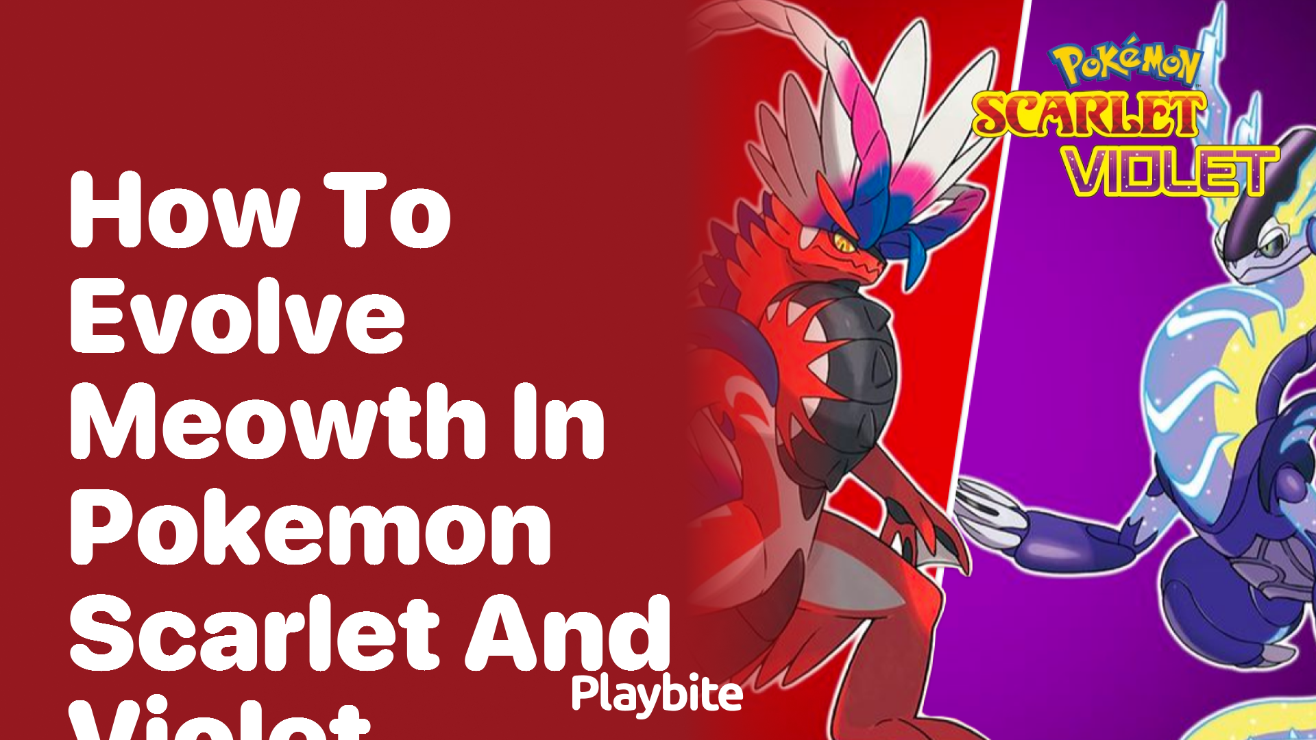 How to evolve Meowth in Pokémon Scarlet and Violet - Playbite