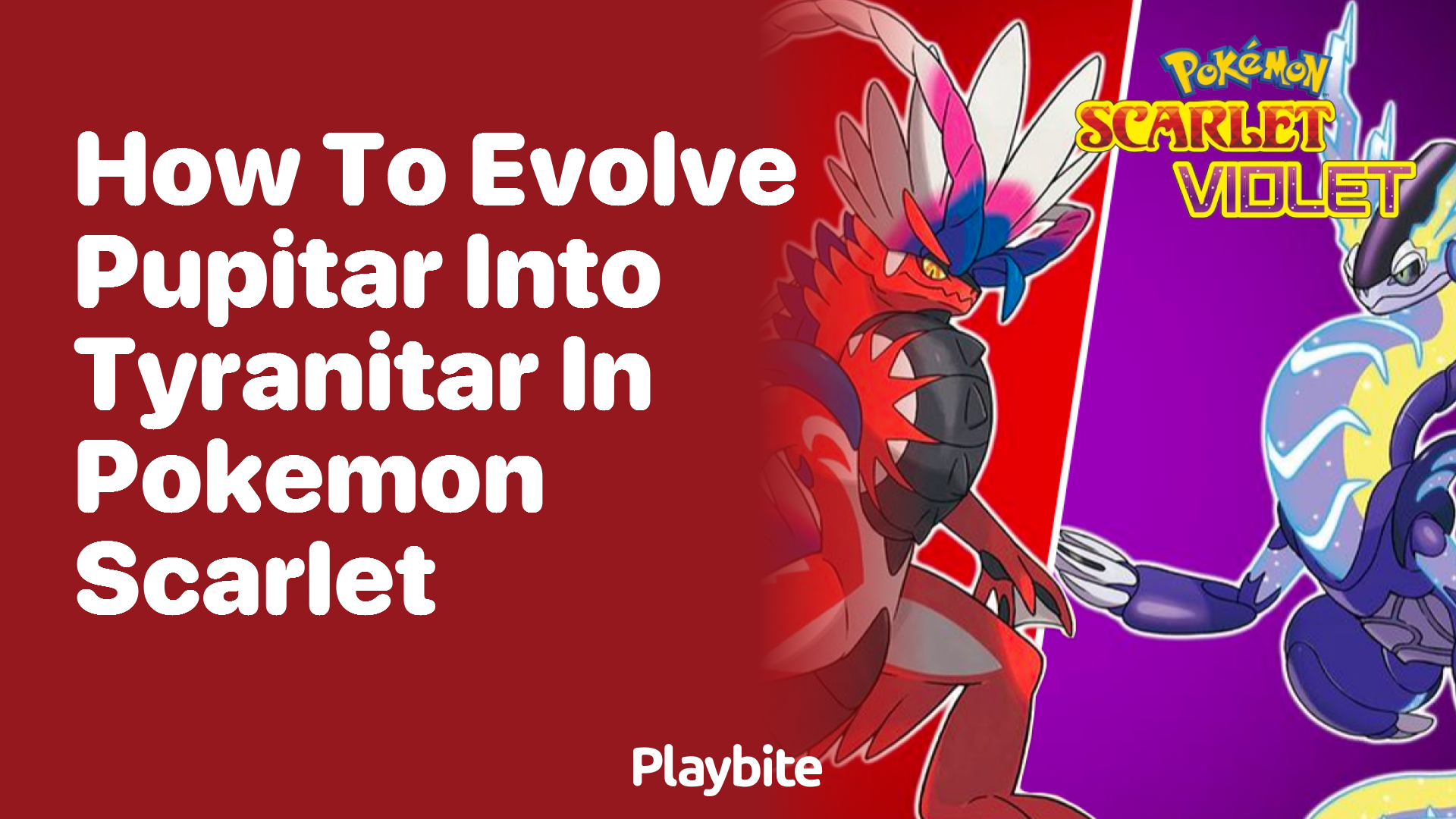 How to evolve Pupitar into Tyranitar in Pokemon Scarlet - Playbite