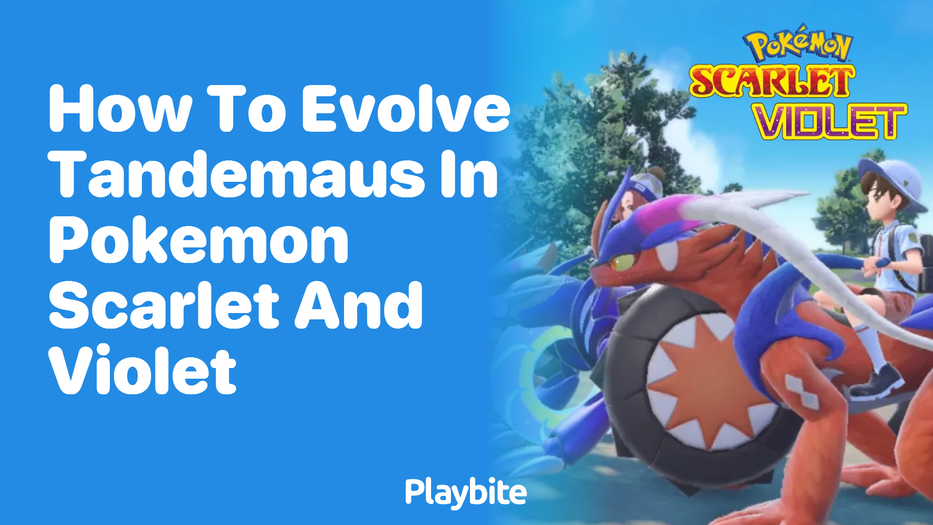 How to Evolve Tandemaus in Pokemon Scarlet and Violet - Playbite