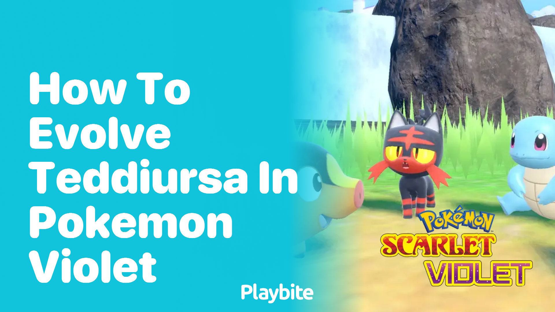 How to evolve Teddiursa in Pokemon Violet - Playbite