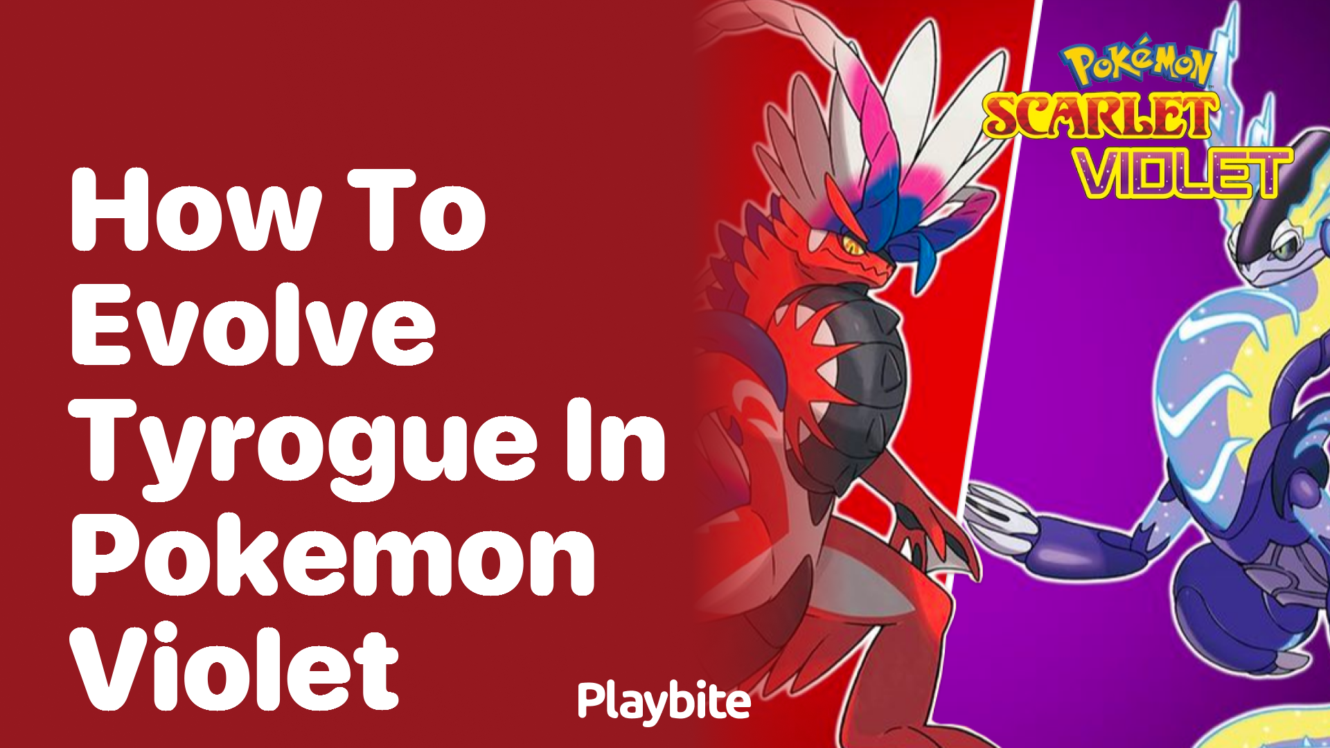 How to evolve Tyrogue in Pokemon Violet - Playbite