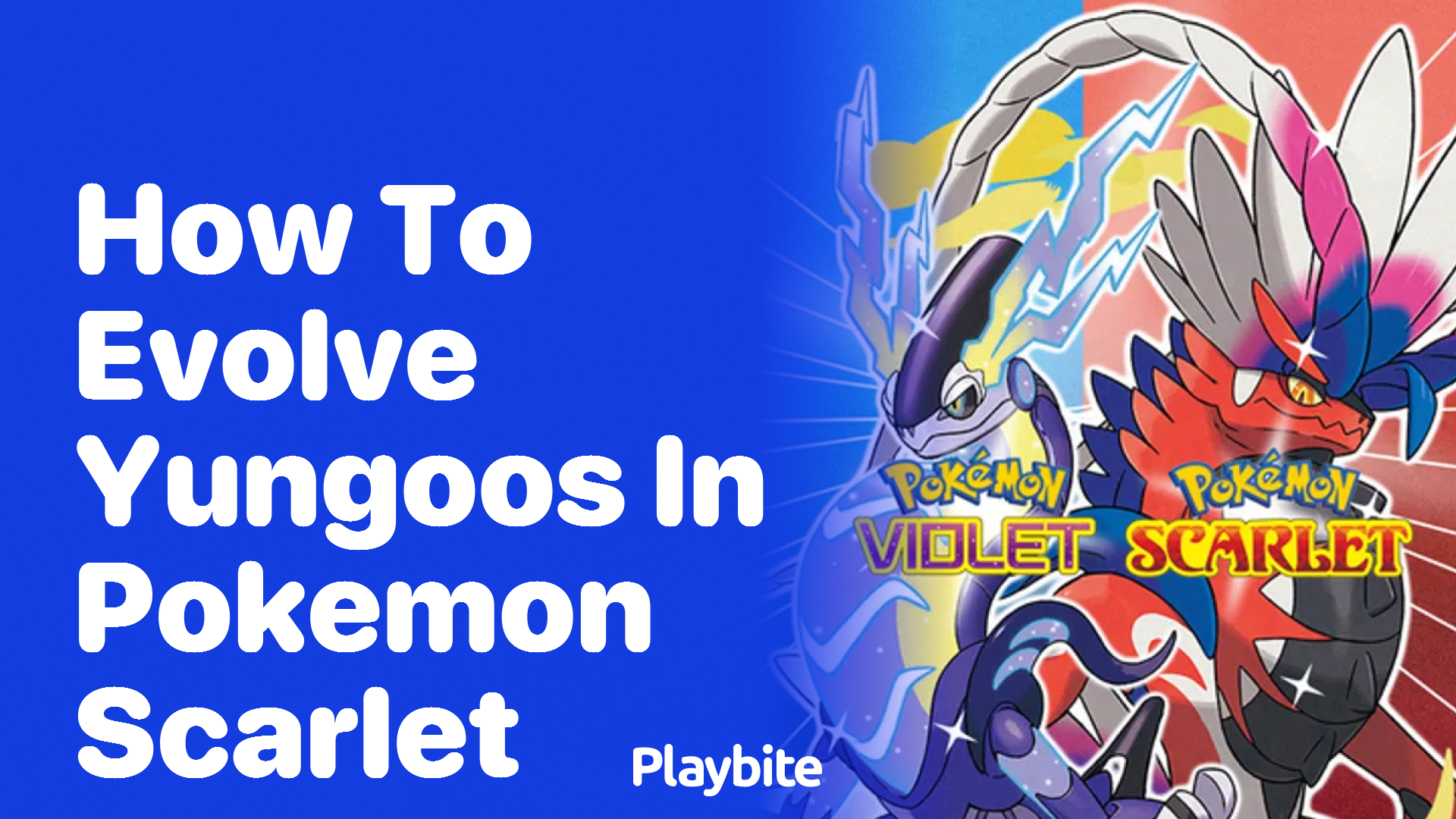 How to Evolve Yungoos in Pokemon Scarlet - Playbite