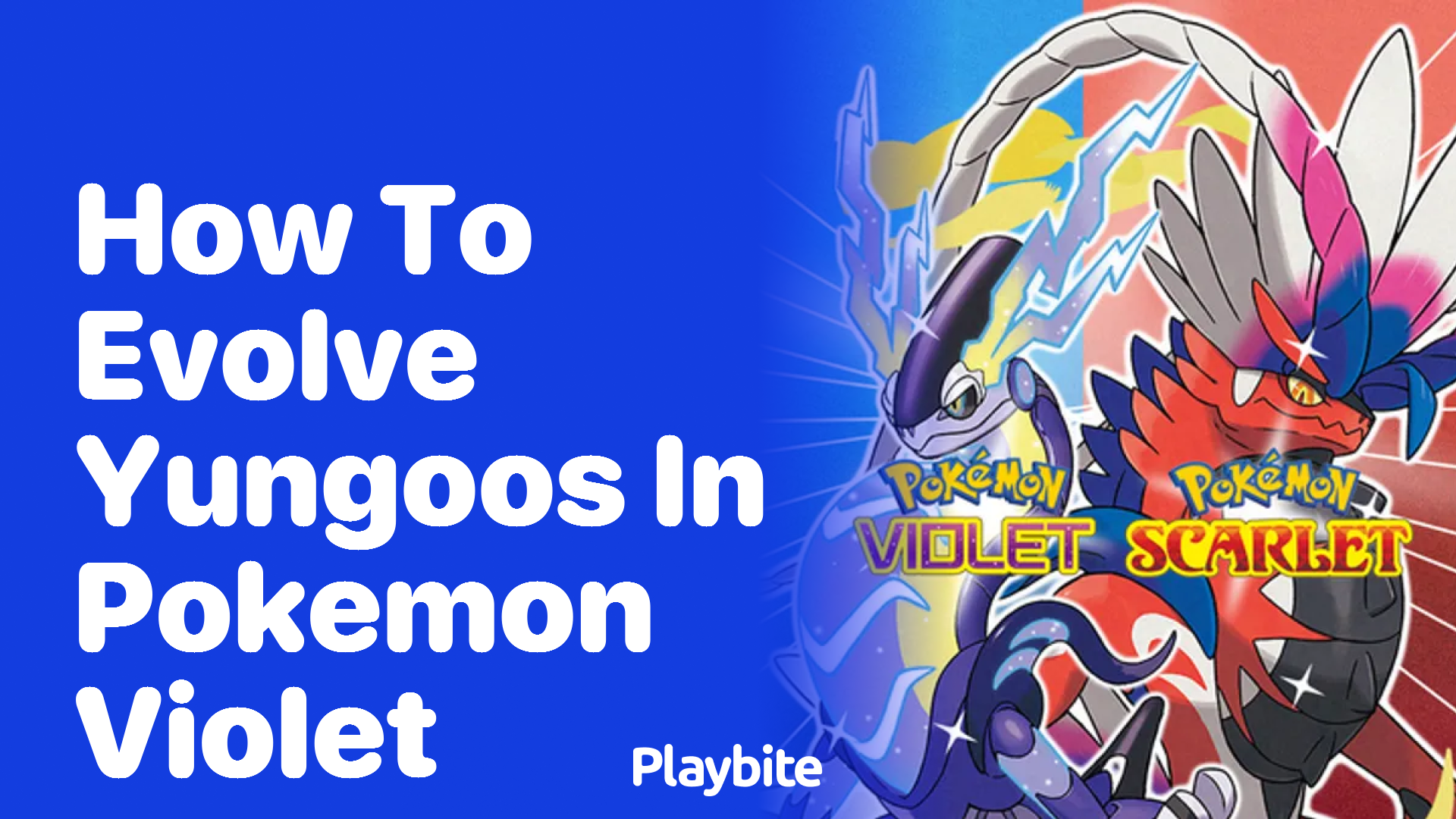 How to evolve Yungoos in Pokemon Violet - Playbite