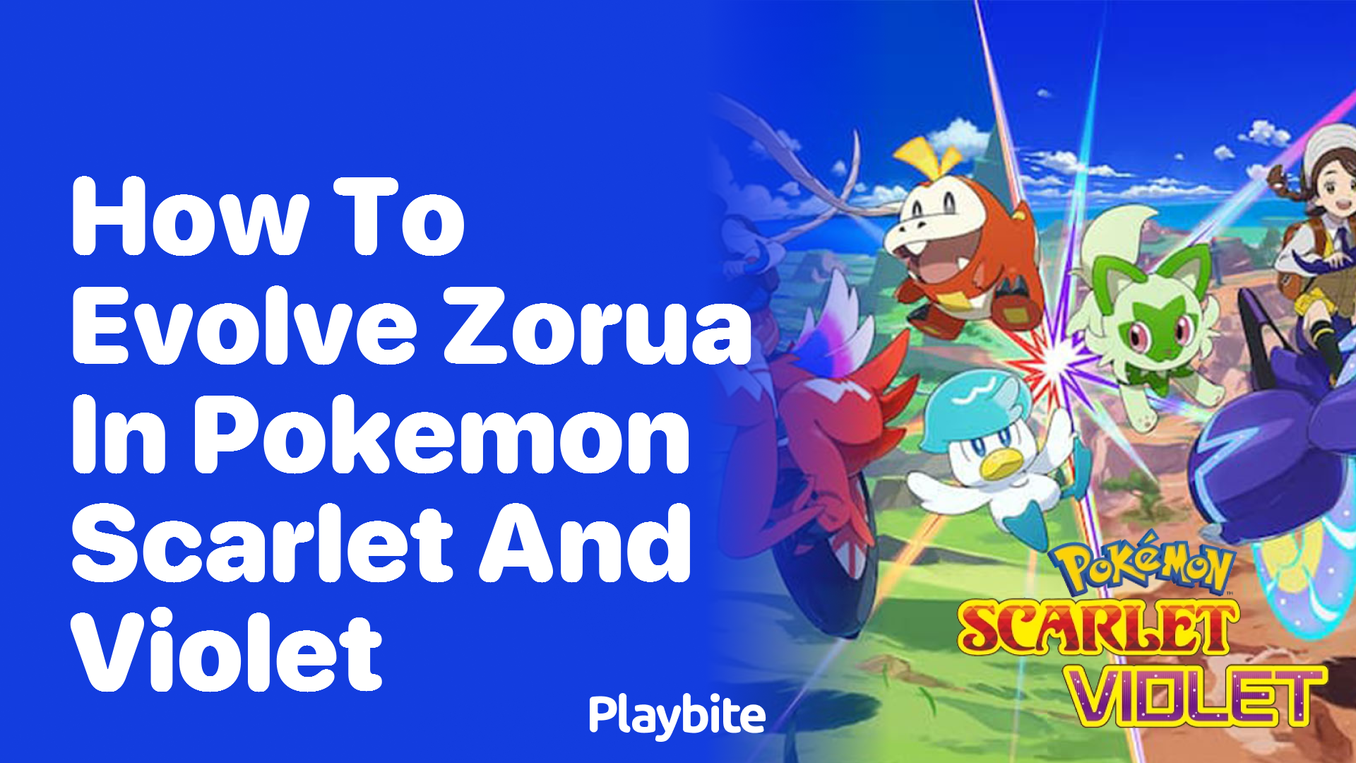 How to Evolve Zorua in Pokemon Scarlet and Violet - Playbite