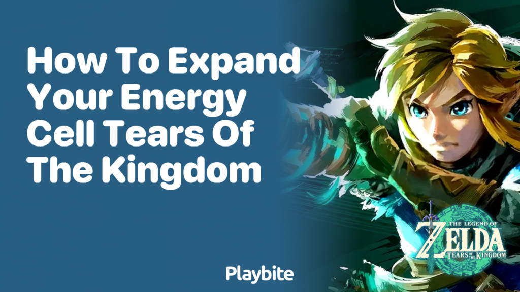 How to Expand Your Energy Cell in Tears of the Kingdom - Playbite