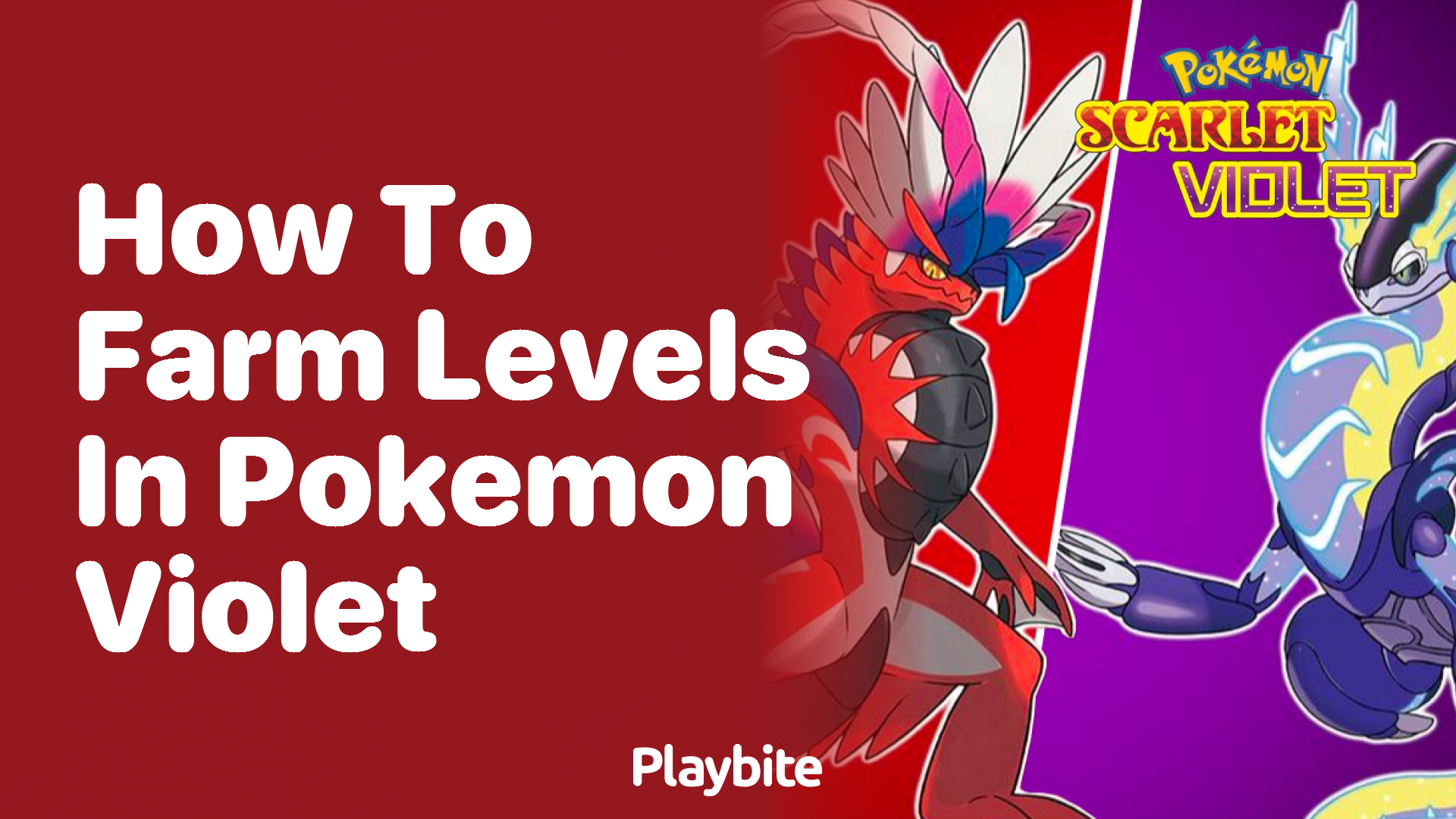 How to farm levels in Pokemon Violet - Playbite
