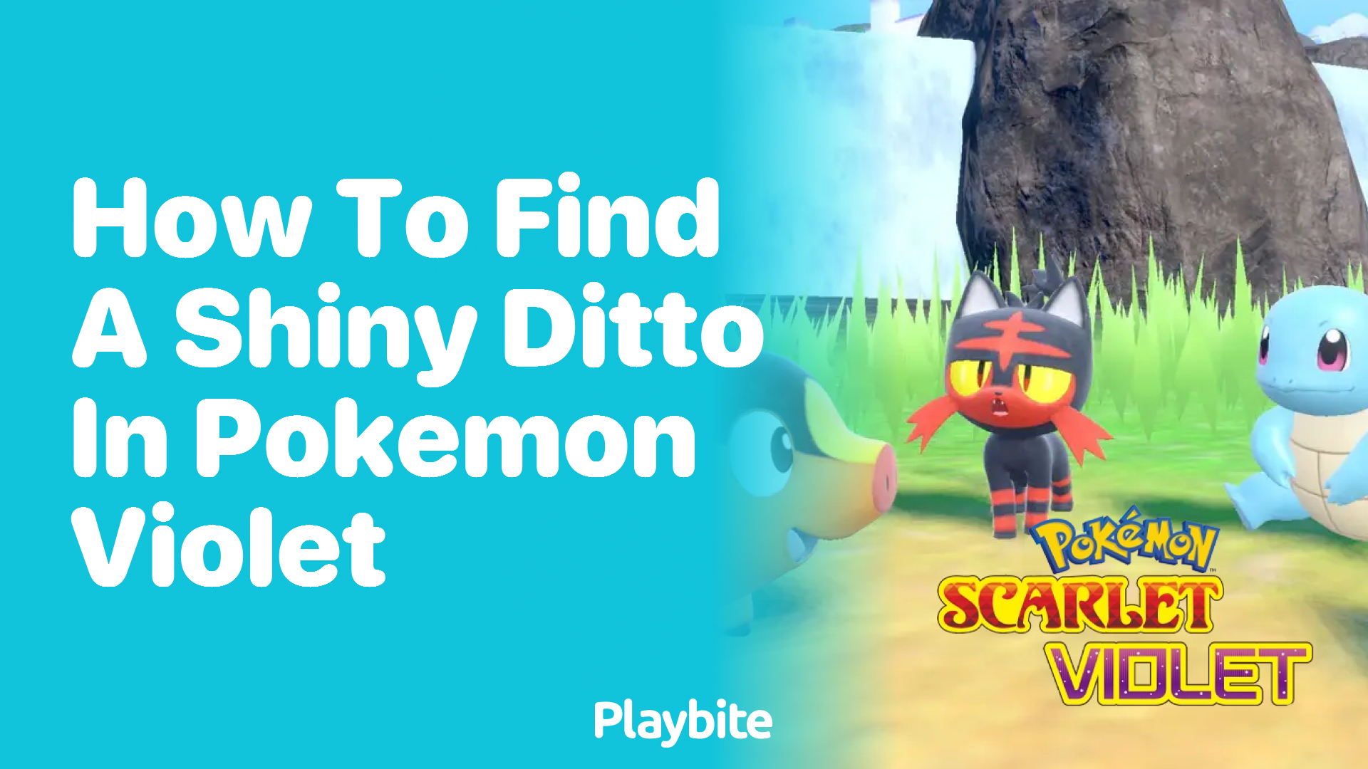 How to find a shiny Ditto in Pokemon Violet - Playbite