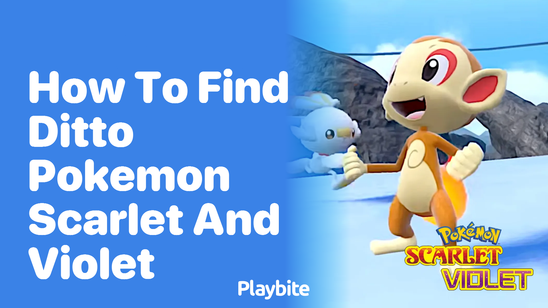 How to find Ditto in Pokémon Scarlet and Violet - Playbite
