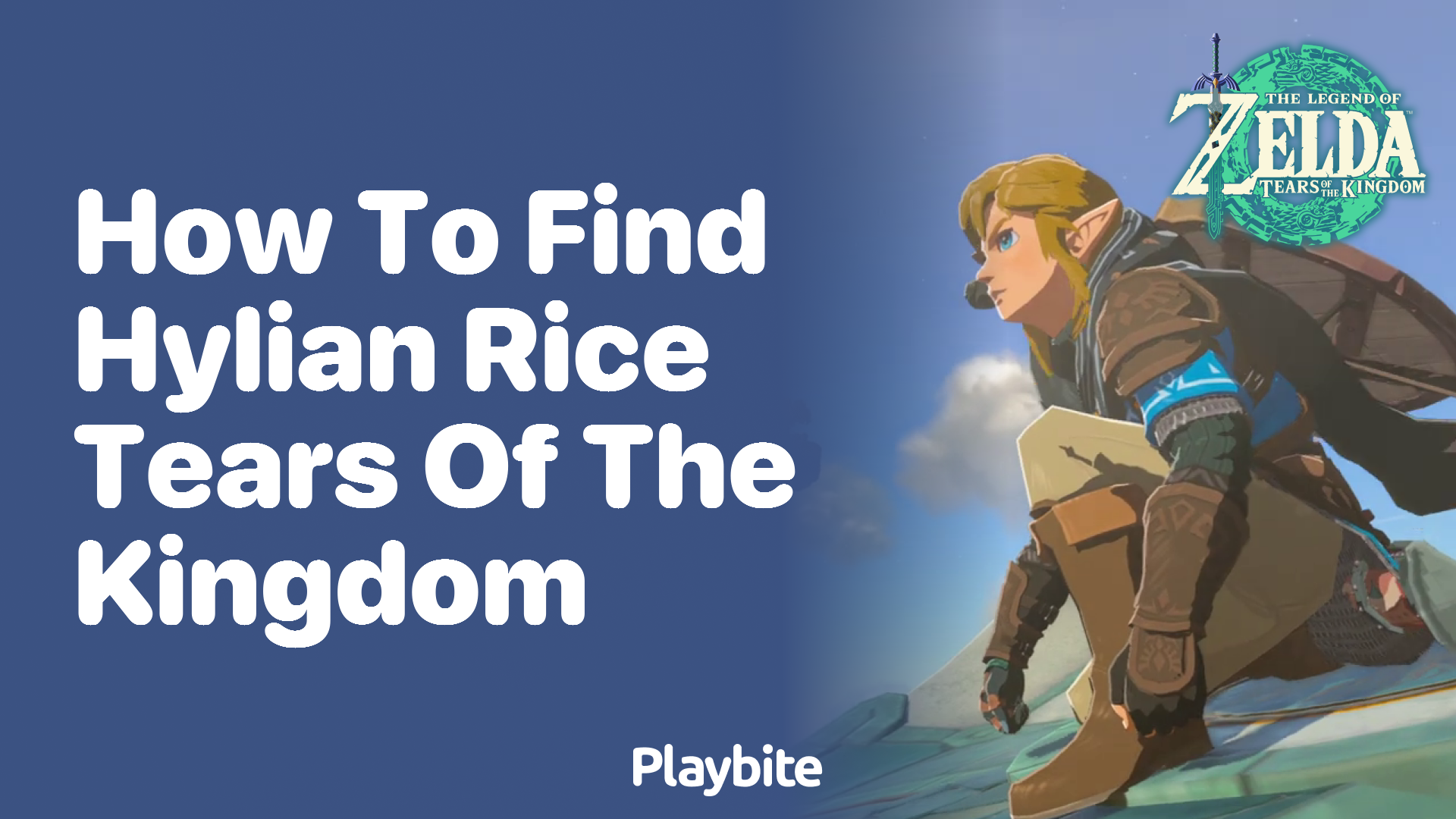 How to Find Hylian Rice in Tears of the Kingdom - Playbite