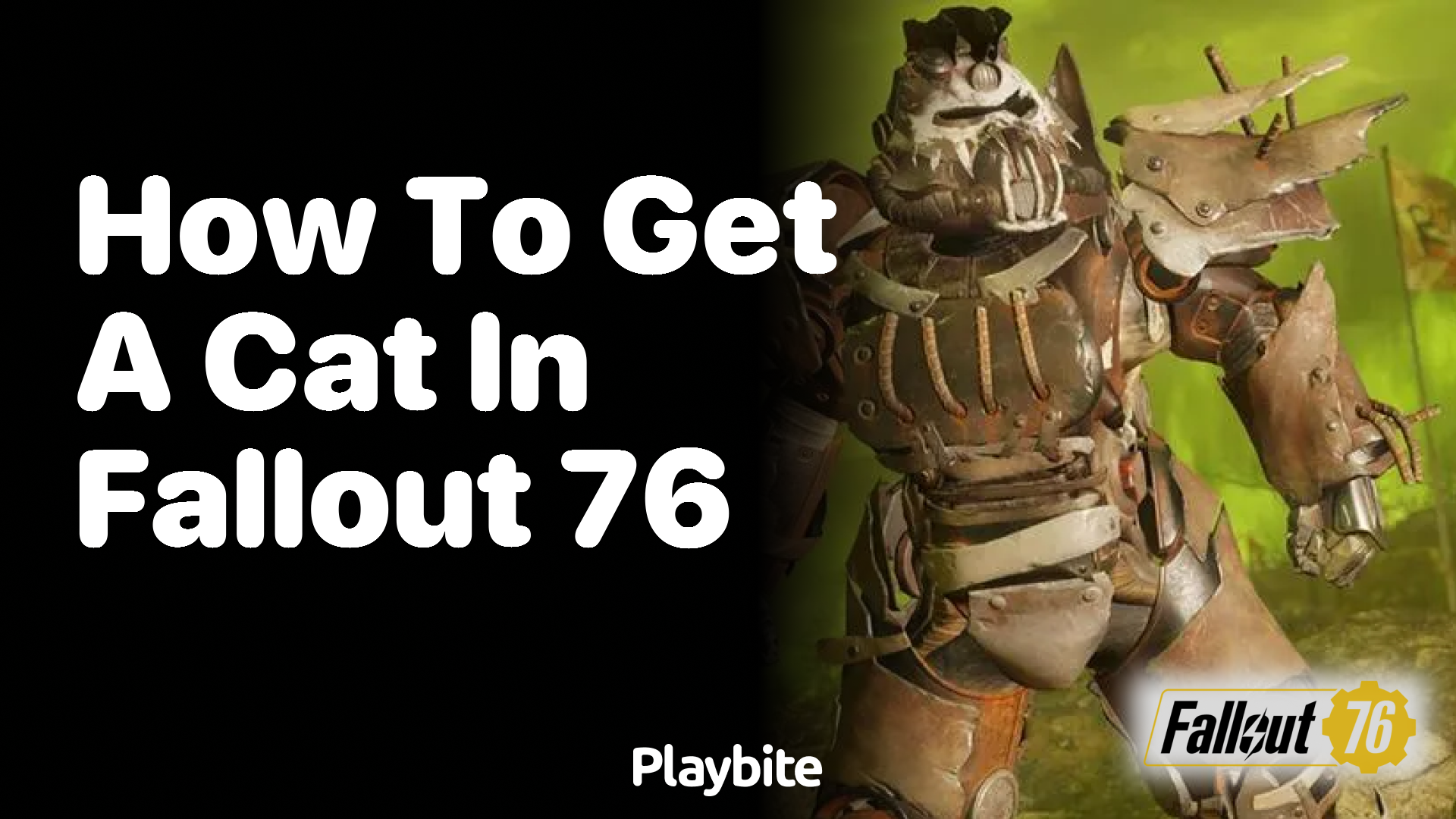 How to Get a Cat in Fallout 76 - Playbite