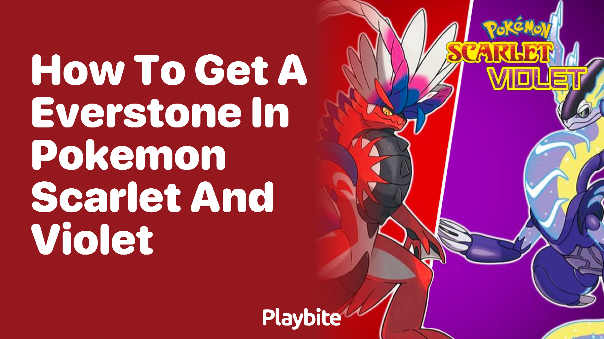 How to get an Everstone in Pokemon Scarlet and Violet - Playbite