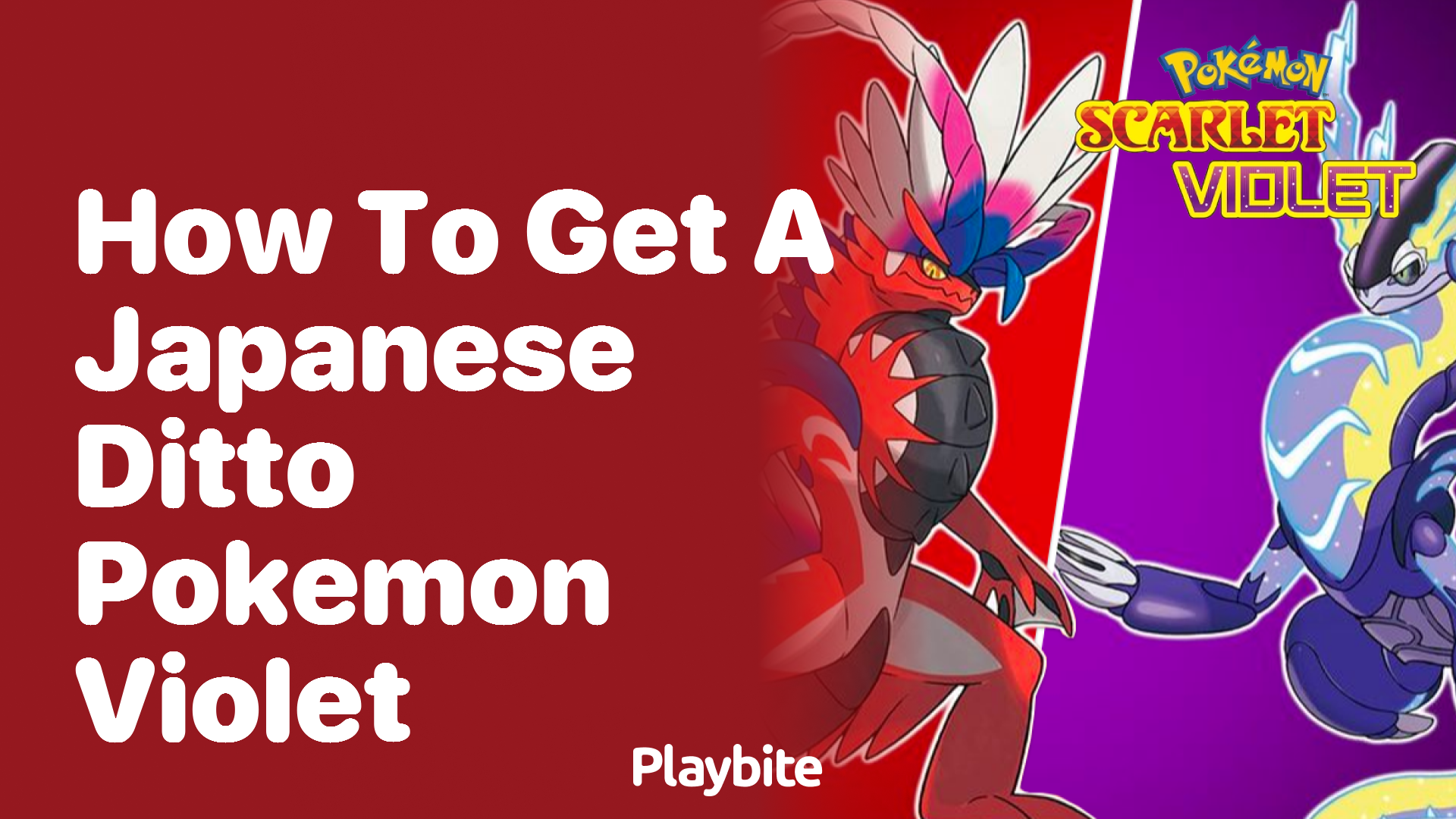 How to Get a Japanese Ditto in Pokemon Violet - Playbite