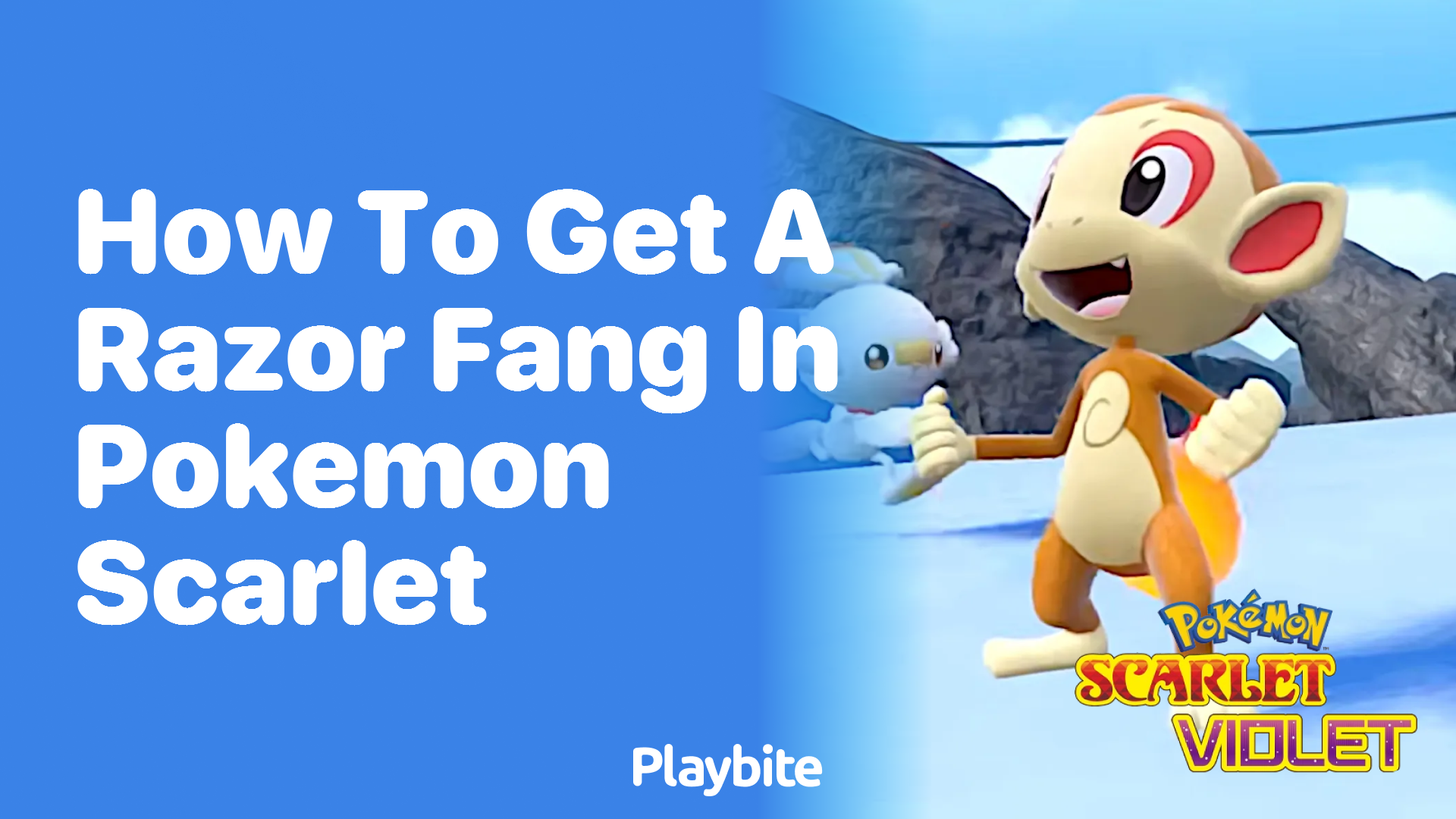 How to get a Razor Fang in Pokemon Scarlet - Playbite