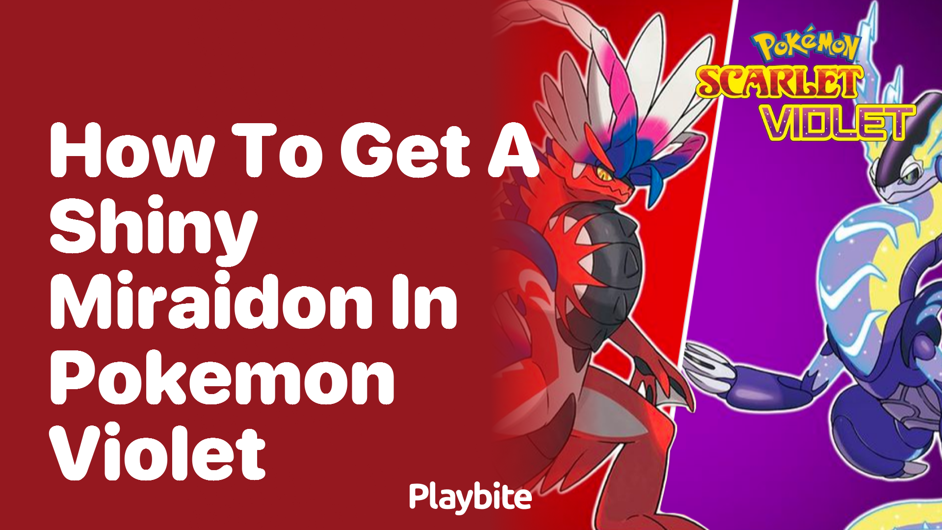 How to get a shiny Miraidon in Pokemon Violet - Playbite